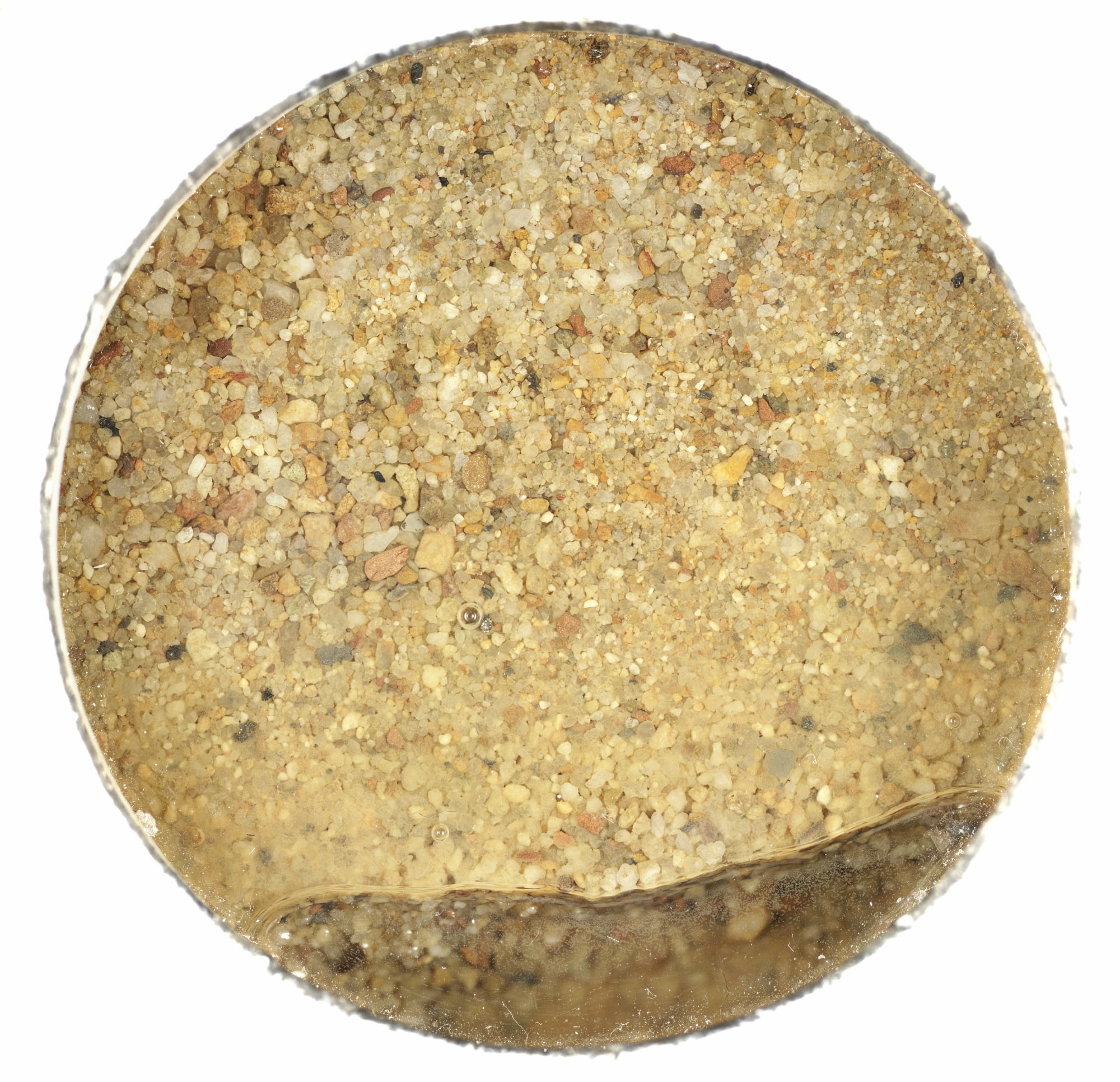 Sediment Sample from China Beach