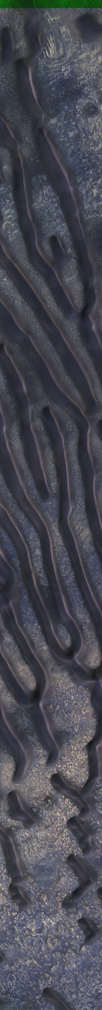 ESP_023829_1350_IRB.NOMAP (EN) The Millipedes of Mars? ArtAlienTV-Gigapans