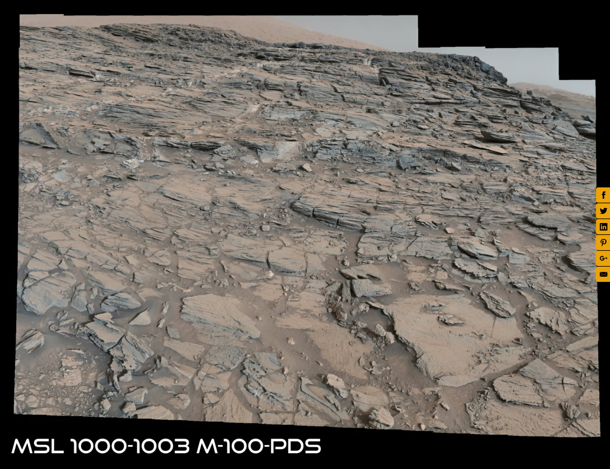 MSL 1000-1003 M-100 PDS