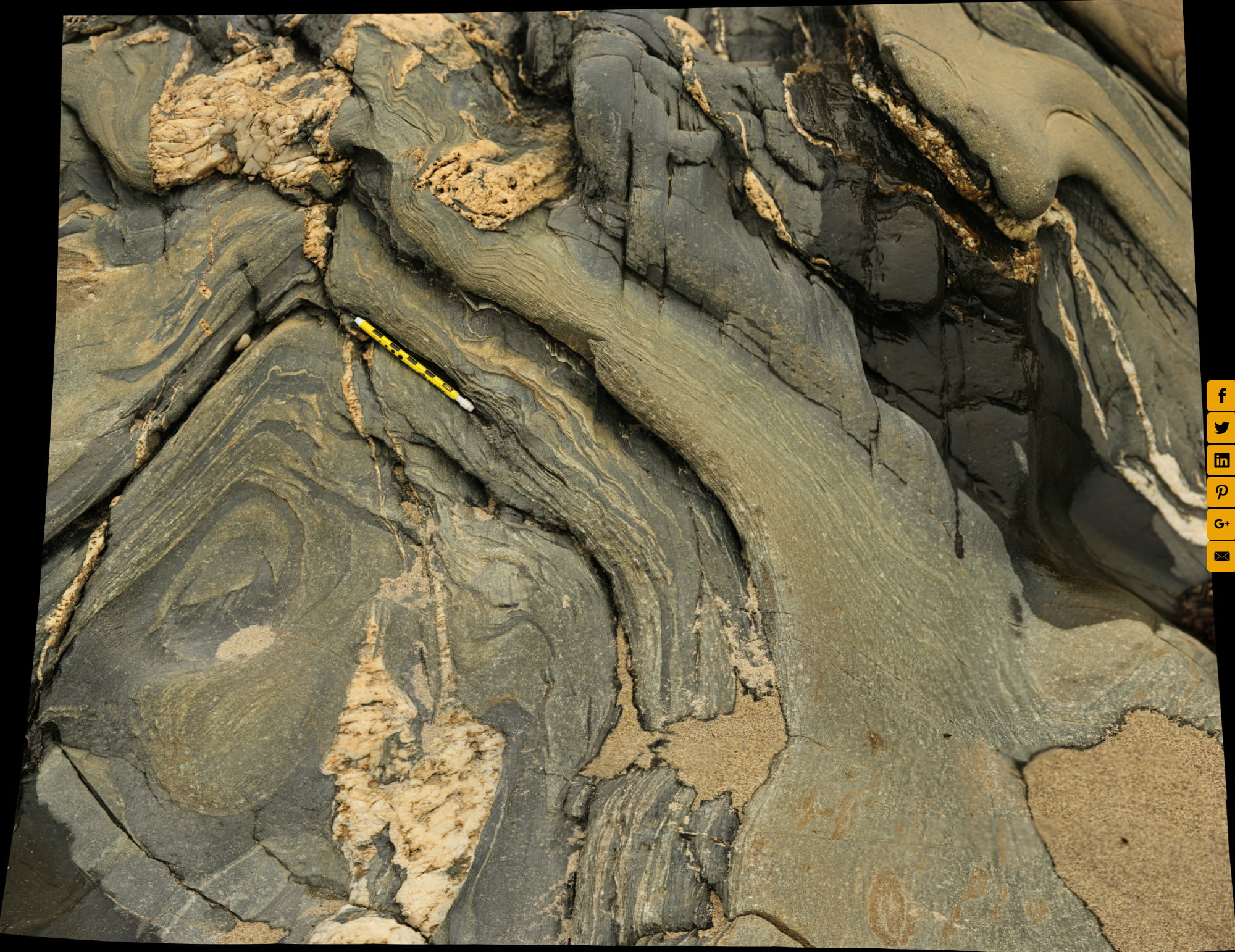 Folded turbidites at Saligo Bay, Islay, Scotland.