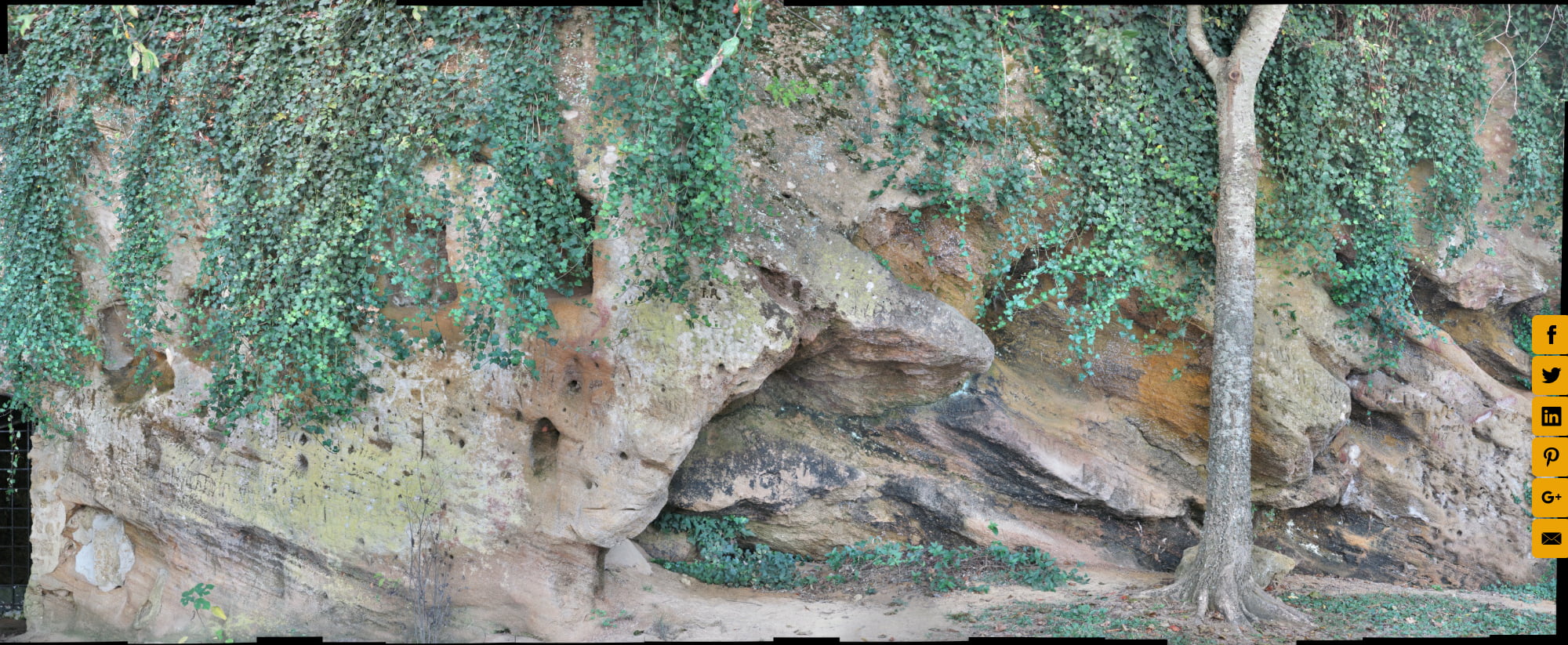Cornwallis' Cave