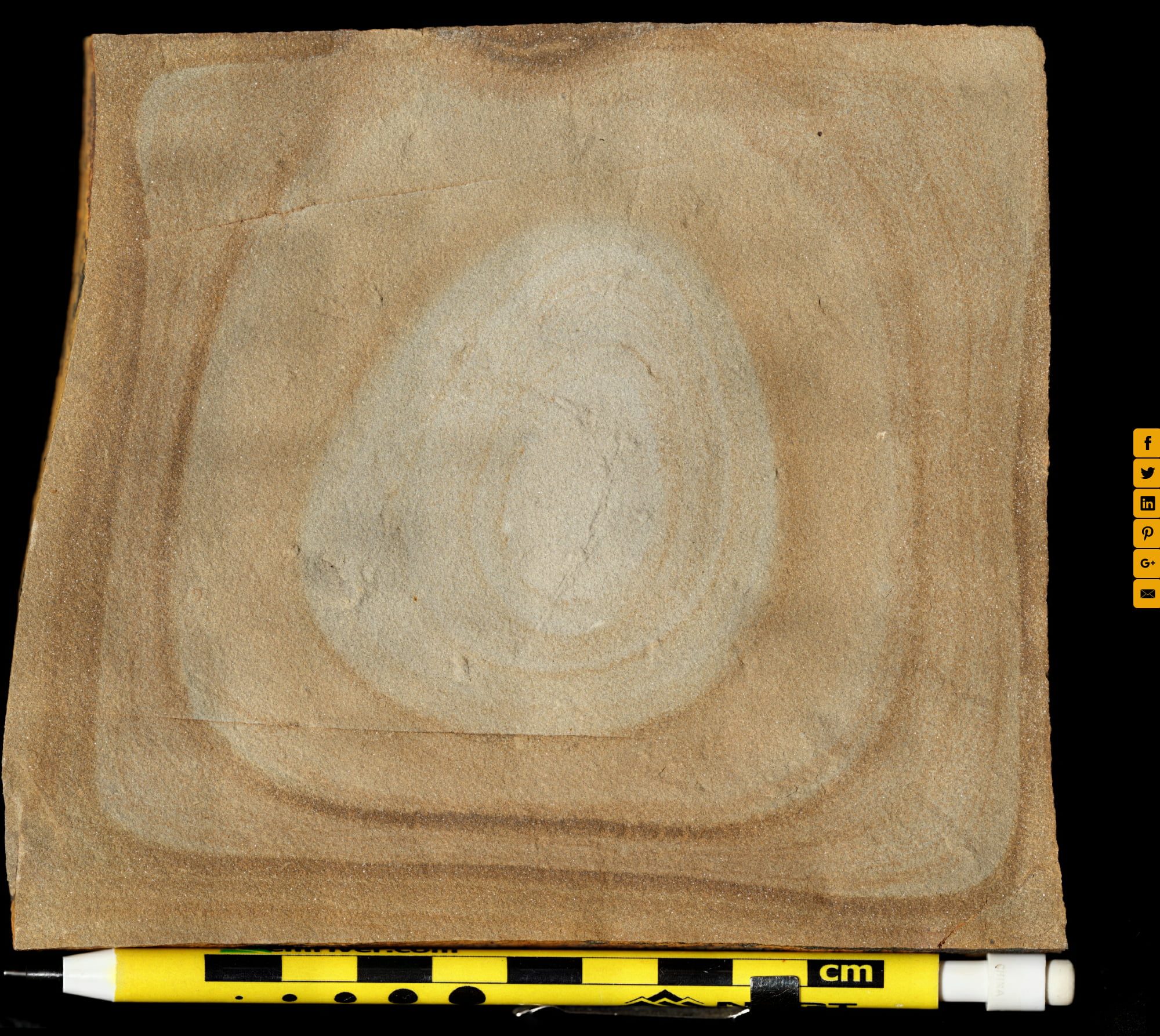 Liesegang rings in jointed sandstone, Foreknobs Formation, Corridor H ...