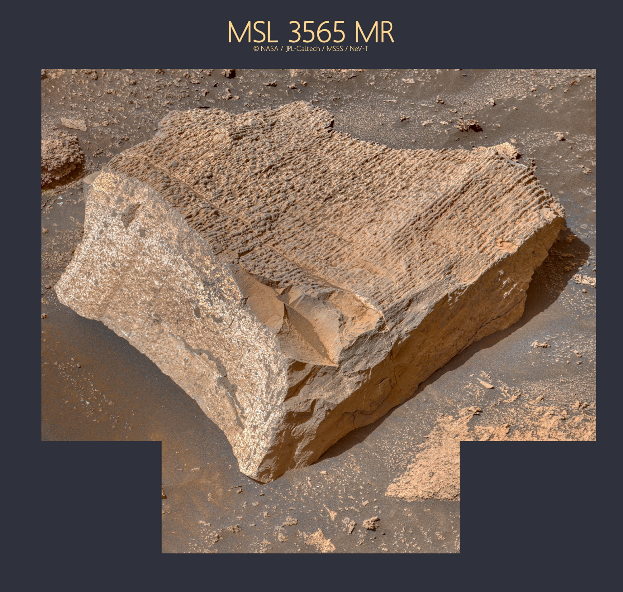 MSL 3565 MR-W