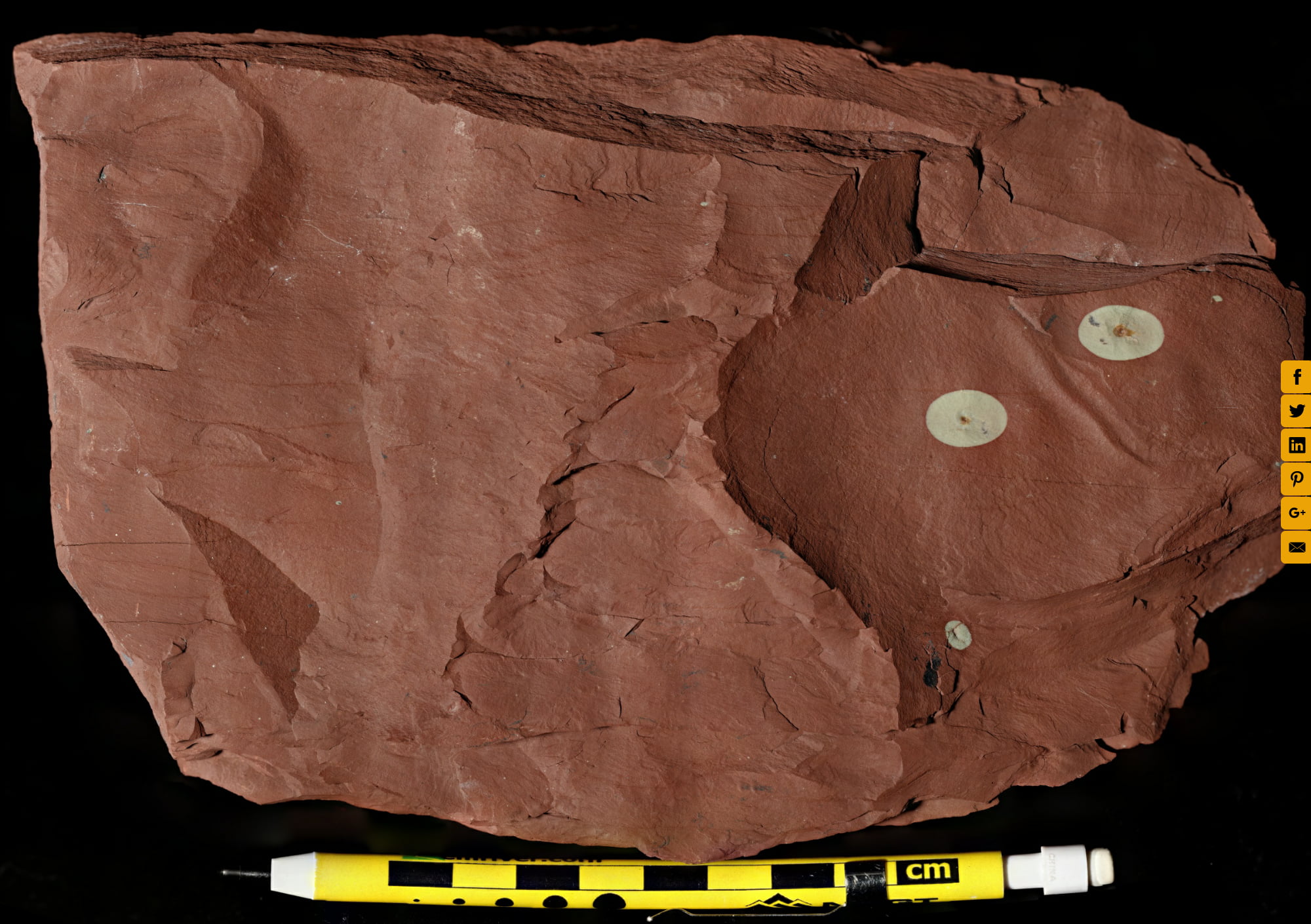 Ellipsoidal reduction spots in Welsh slate