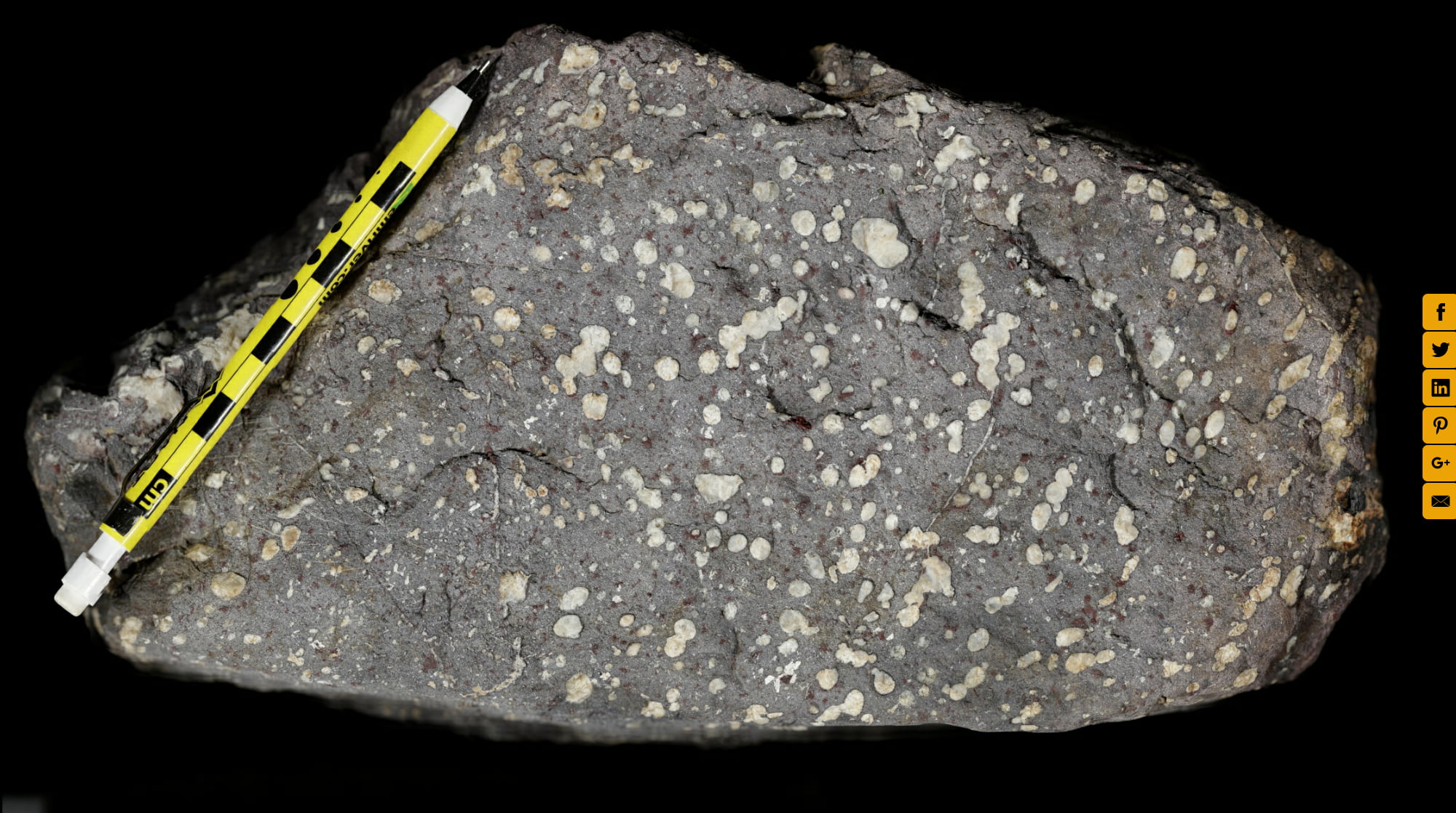 Amygdular (amygdaloidal) Catoctin Formation meta-basalt, Blue Ridge ...
