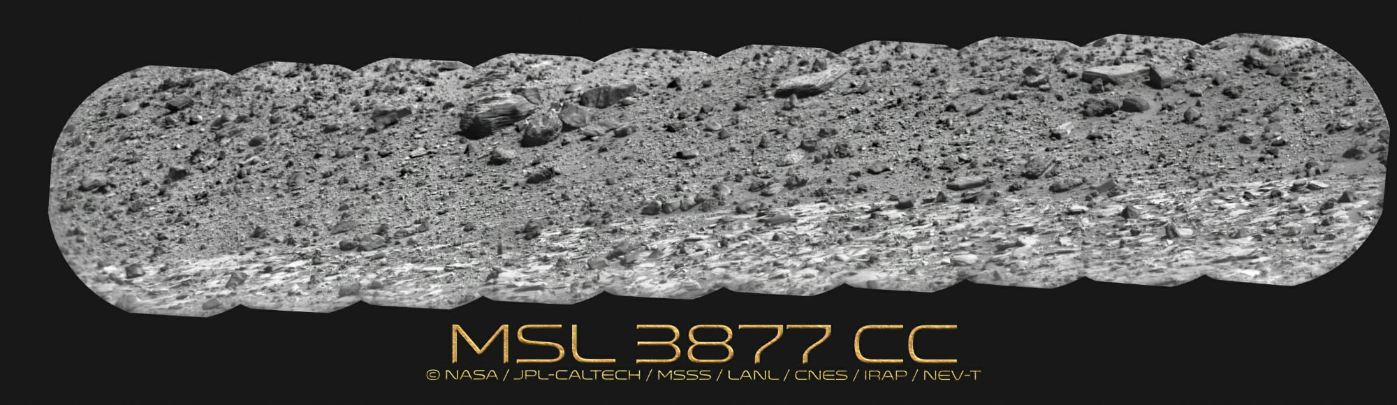 MSL 3877 CC