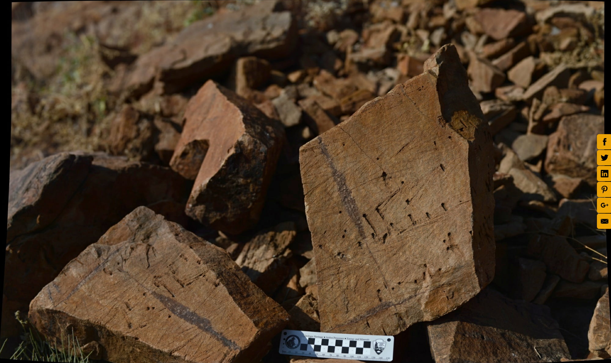 Sedimentary Rocks Lab Sample Z