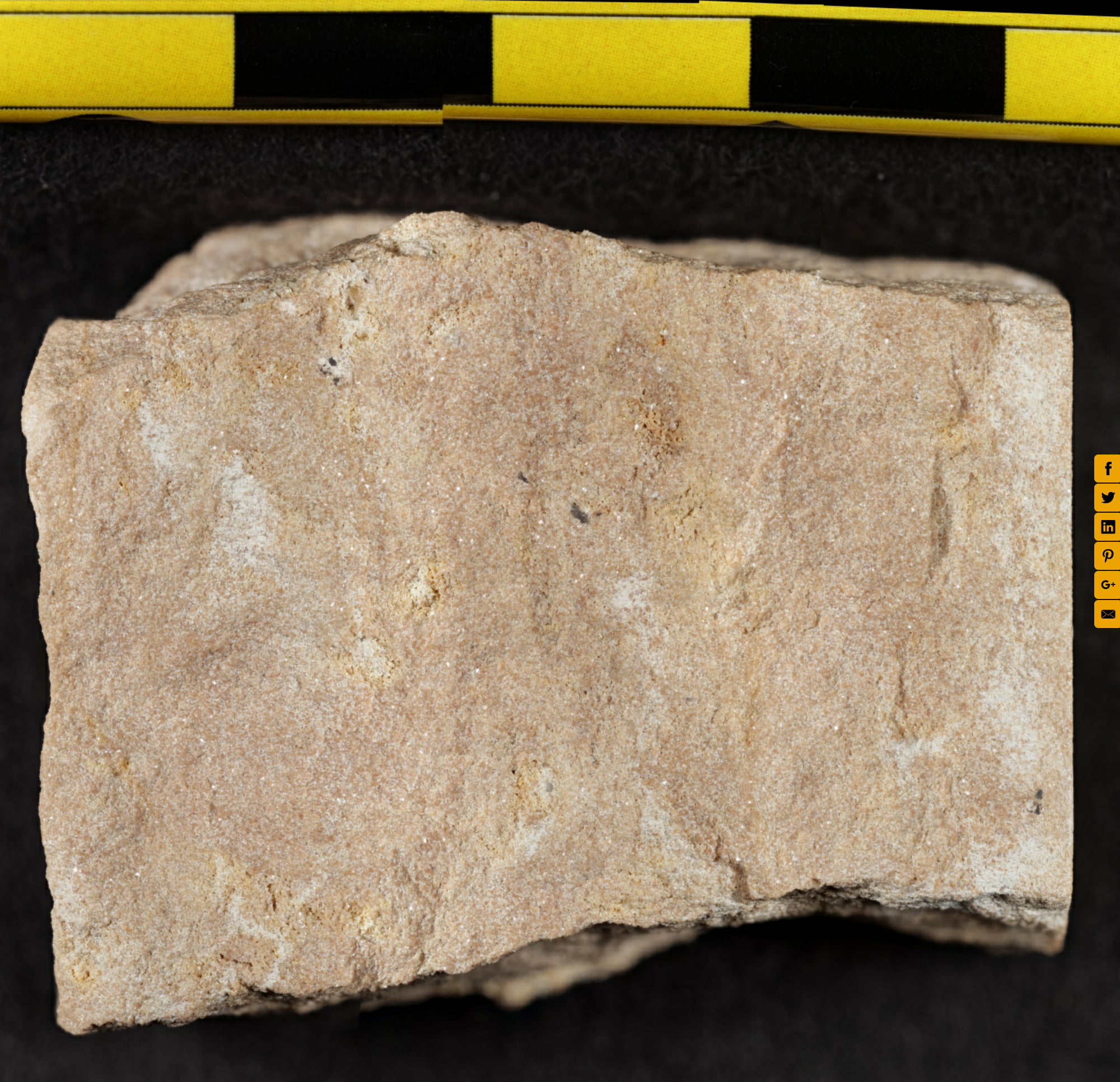 22. Dolomitic limestone