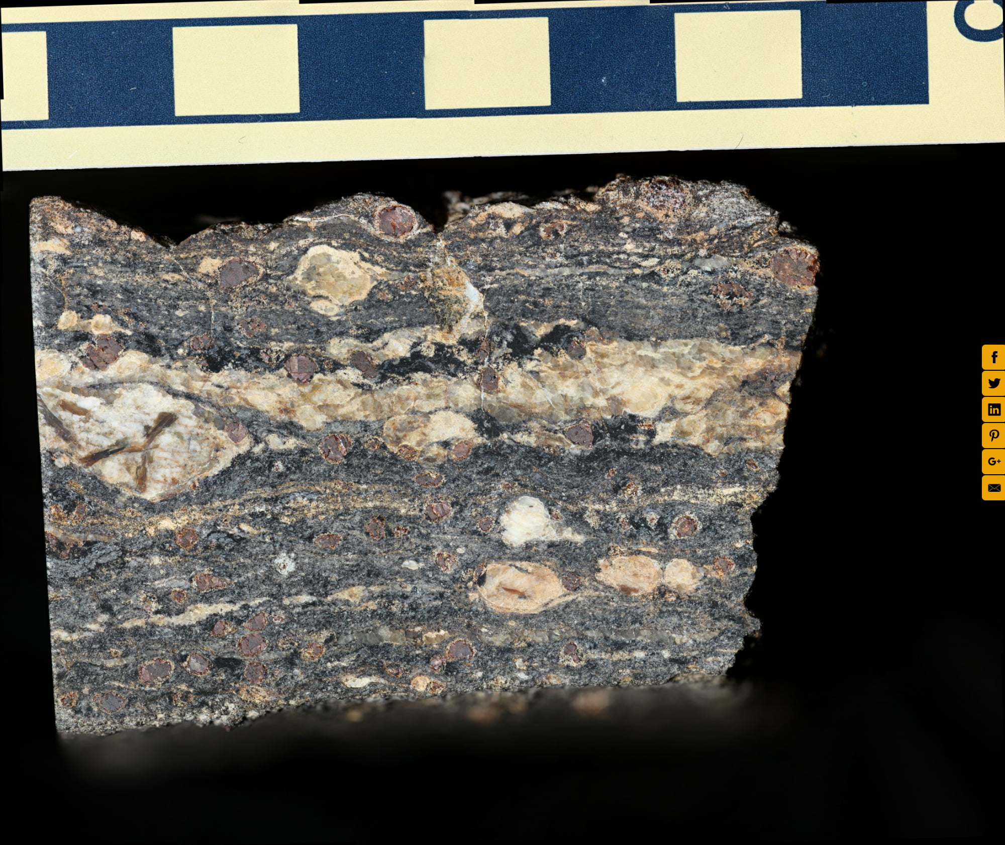 Metamorphic Rocks Lab Sample L, one side view