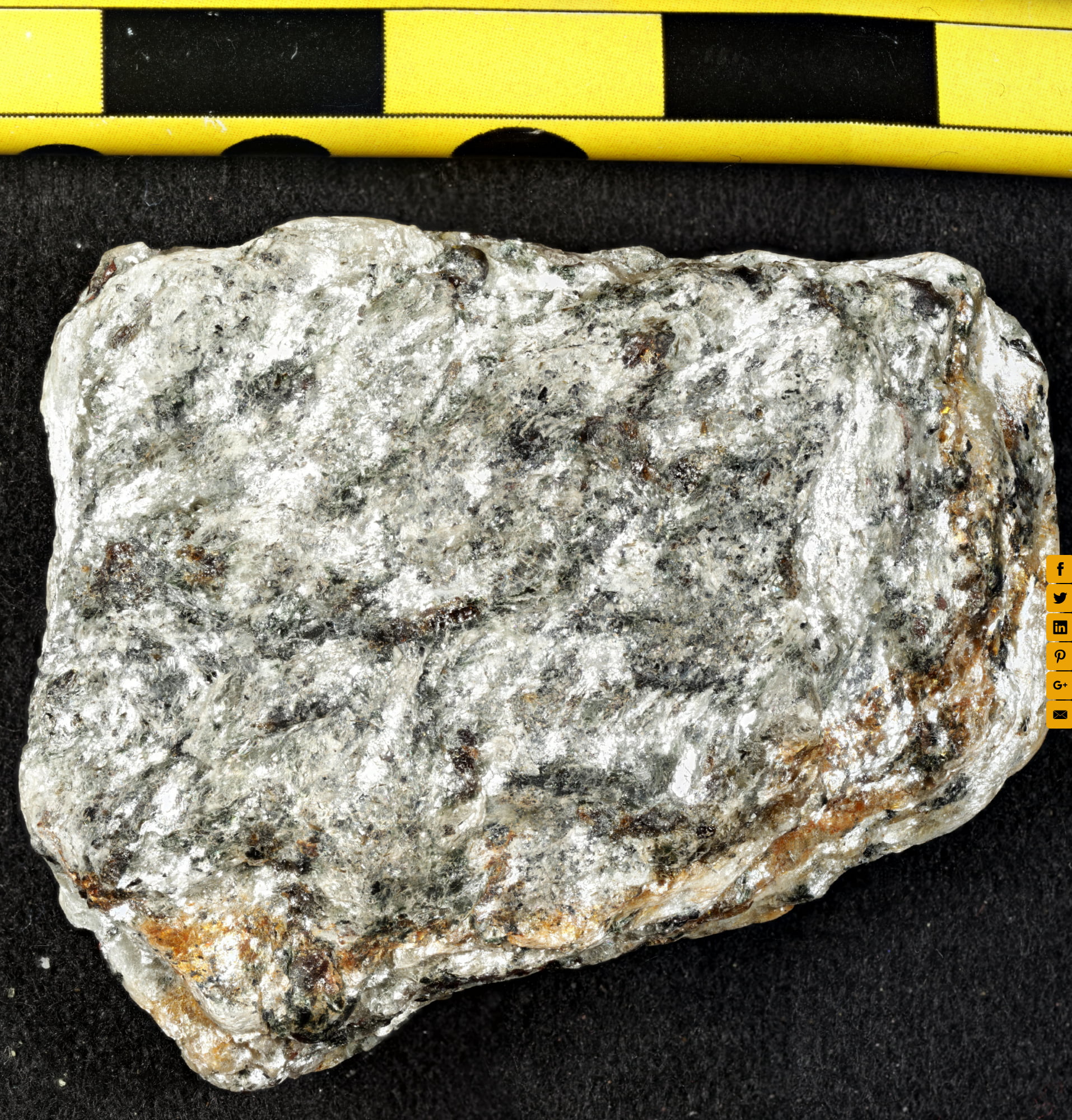 Phyllite with garnet