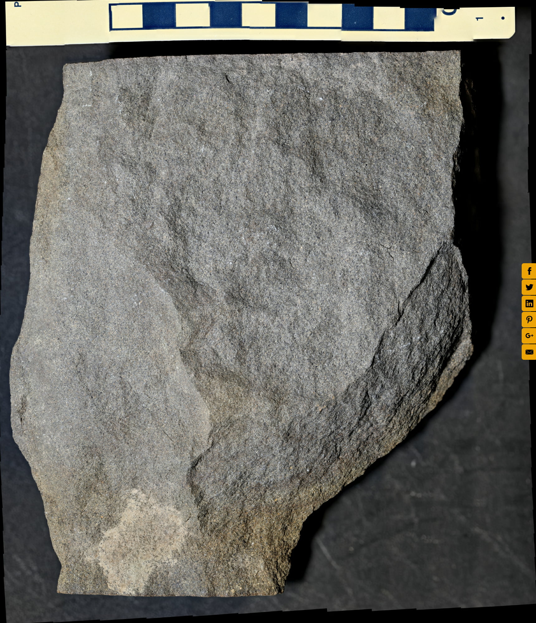 Sedimentary Rocks Lab Sample R