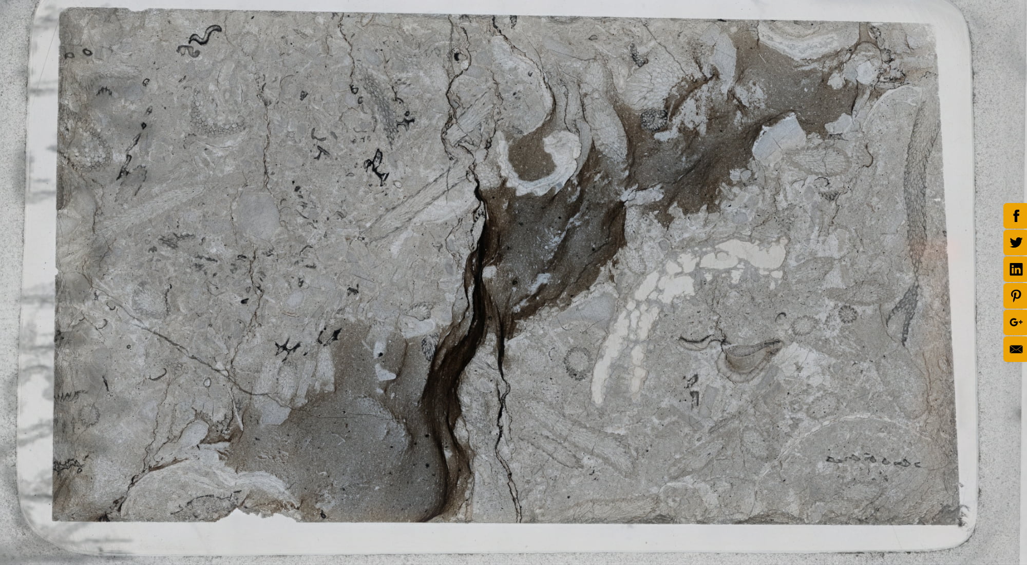 Keyser limestone, plane polars