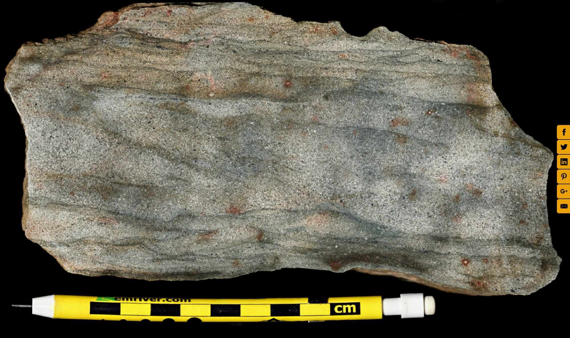 Microbially-induced sedimentary structures, sandstone, Barberton ...