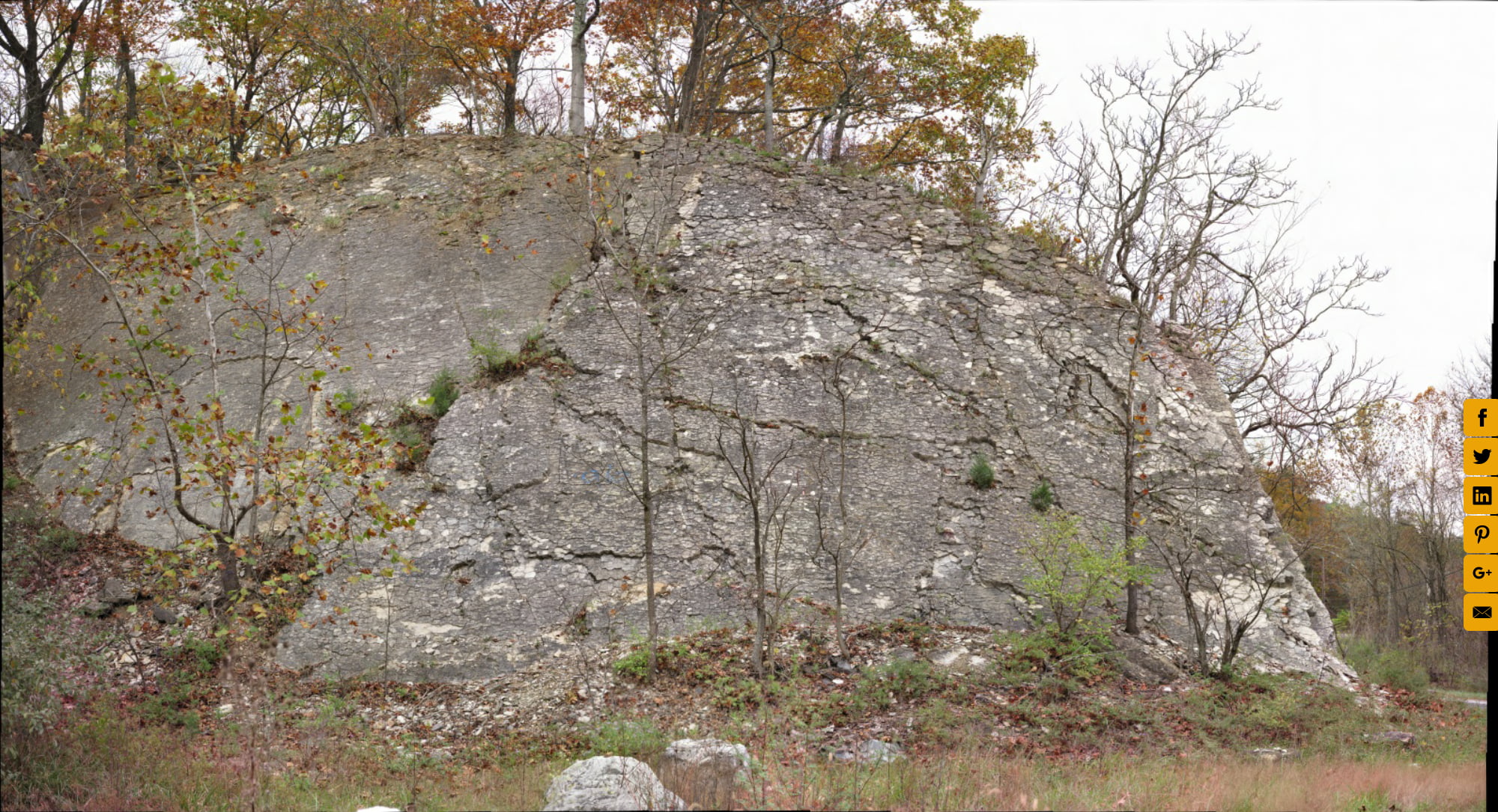 Sedimentary Rocks Lab Sample Q