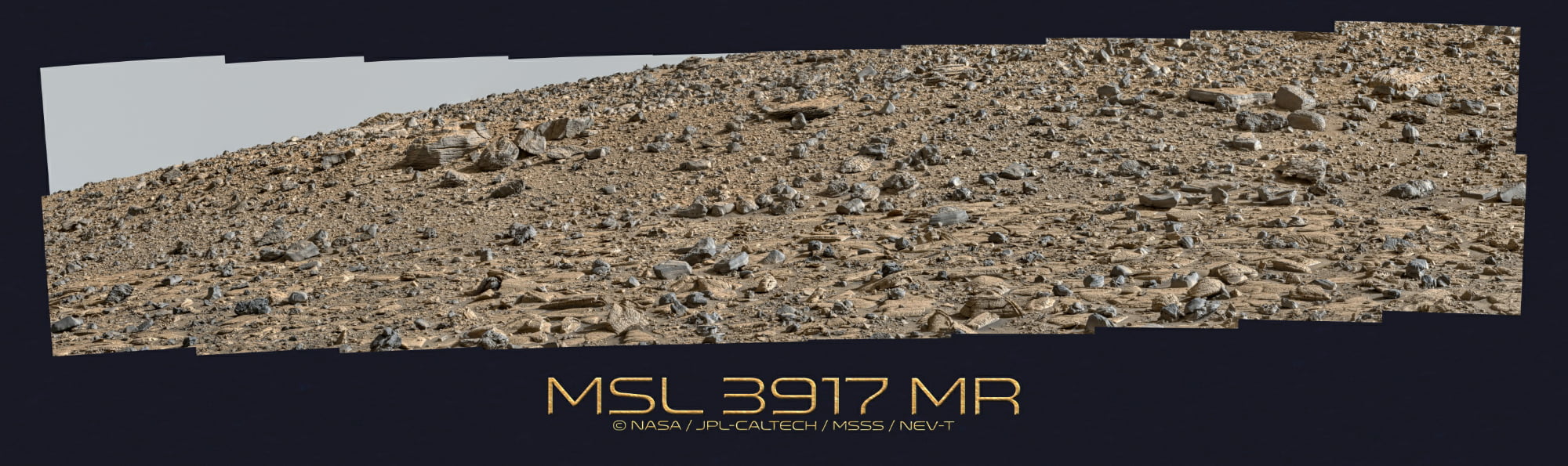 MSL 3917 MR
