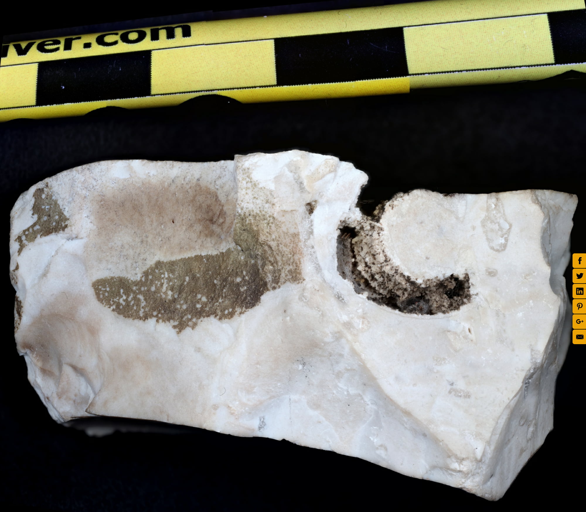 Sedimentary rock ID and interpretation 13a