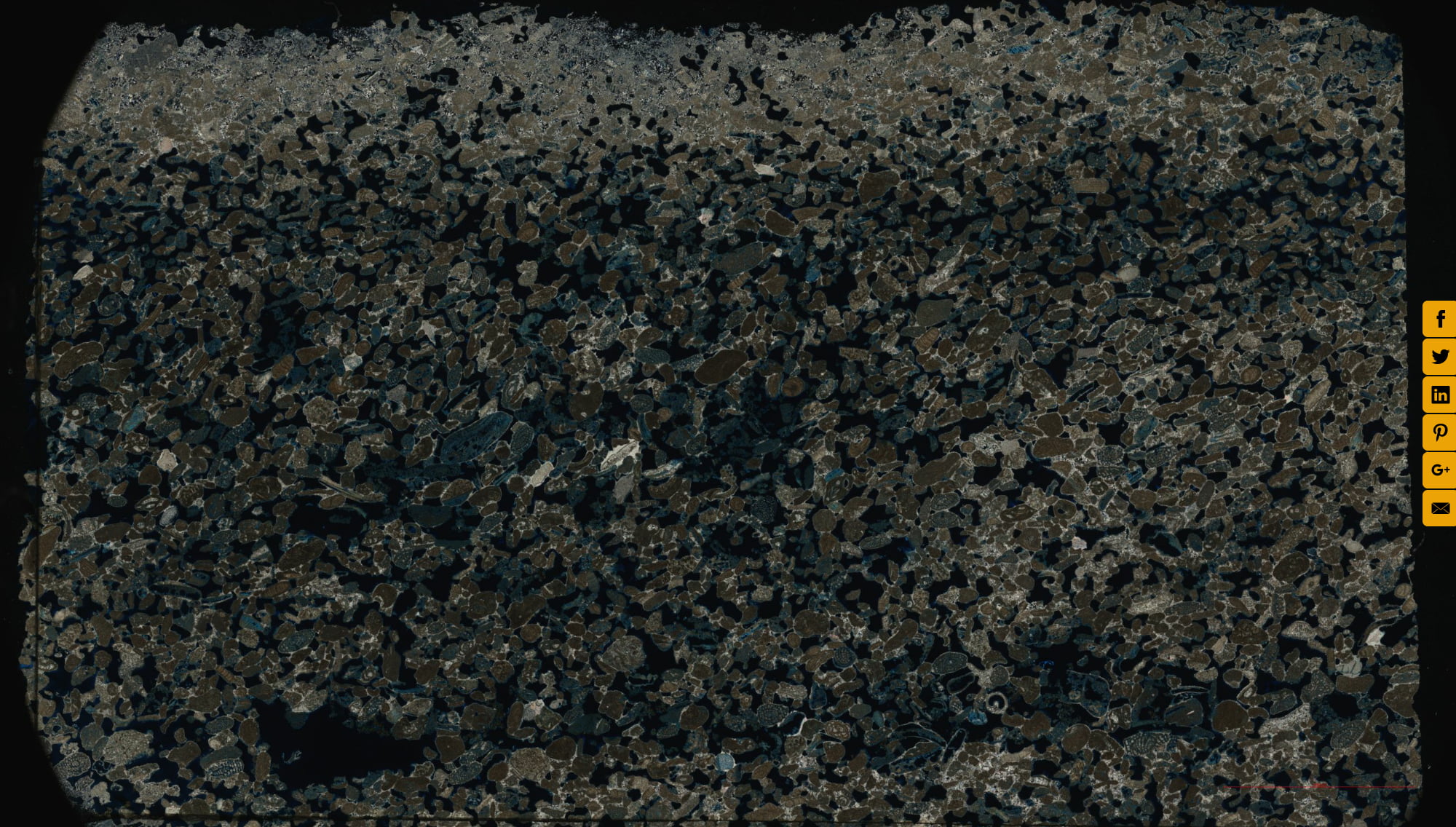 DB-25_5x_XPL