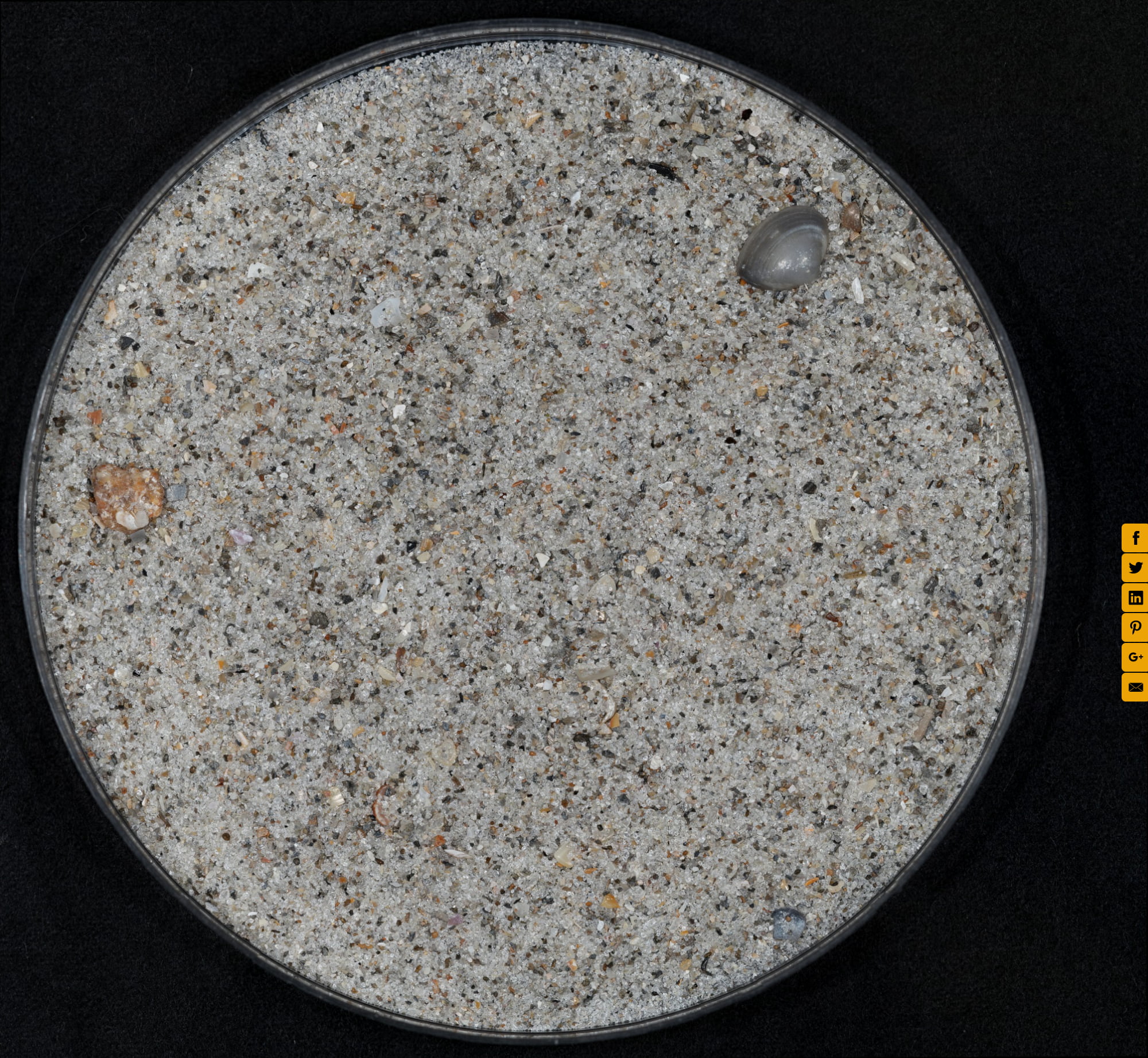 Sediment from Satellite Beach, Florida