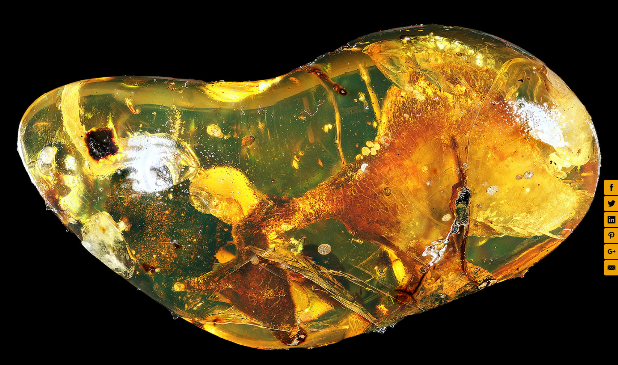 Amber 1 Side A