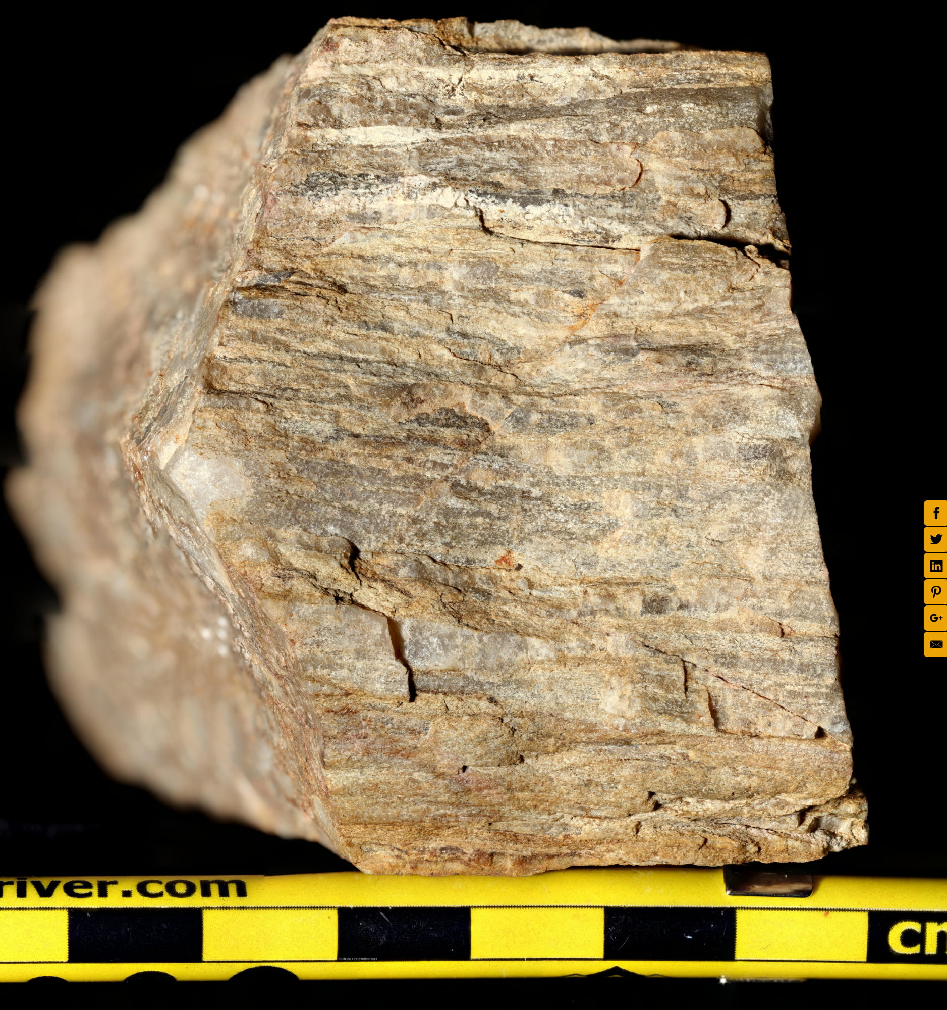 L-tectonite, side view