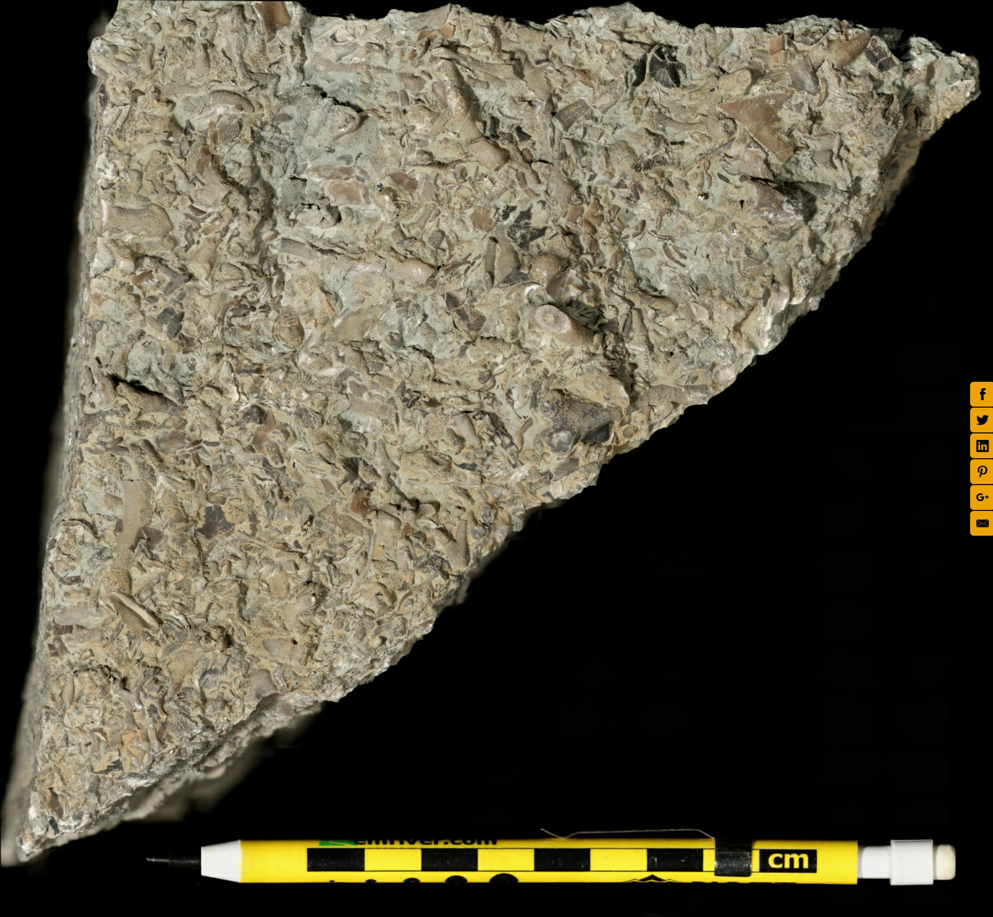 Unknown rock for students to identify