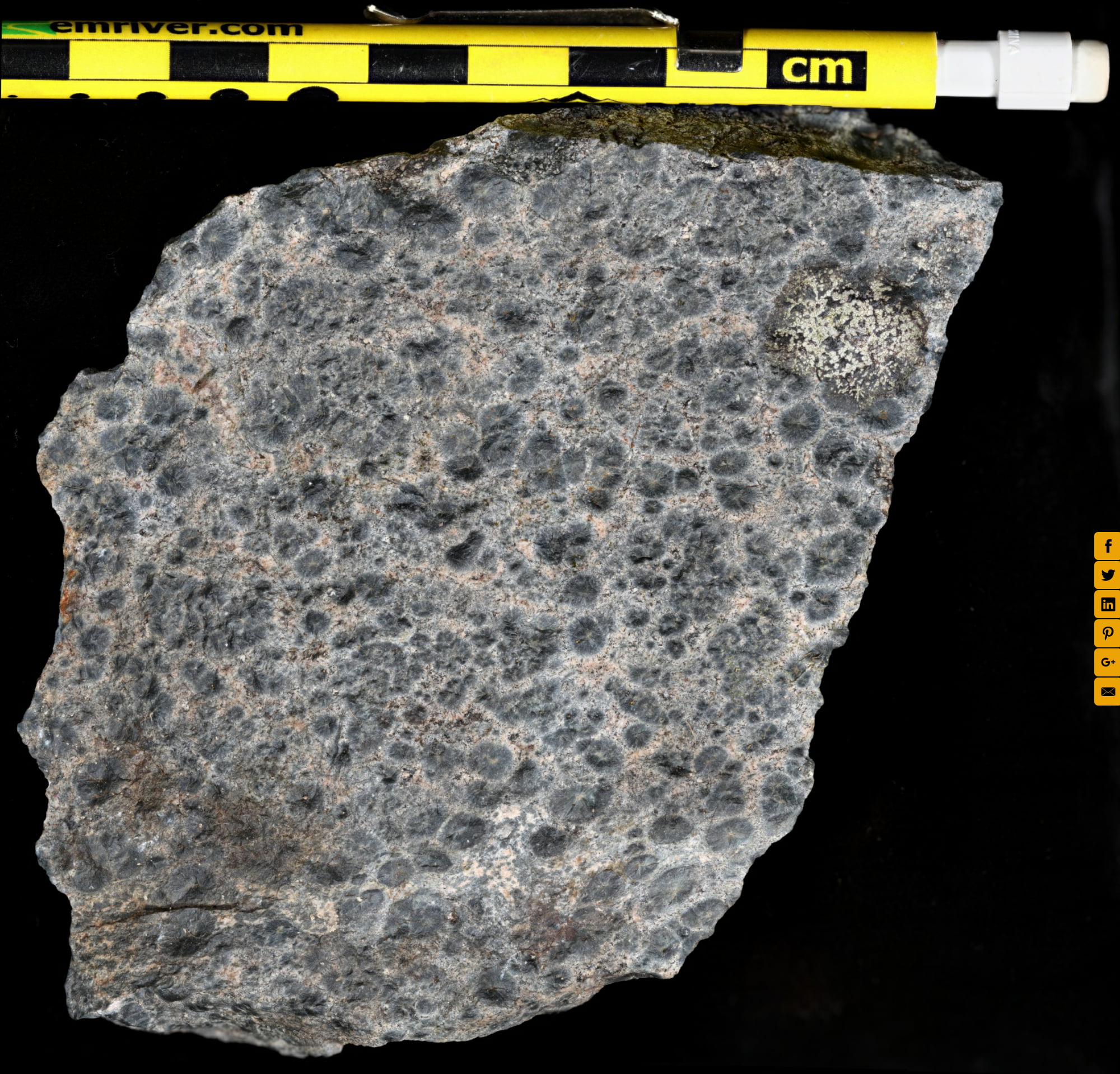 Felsic spherulite from Shetland