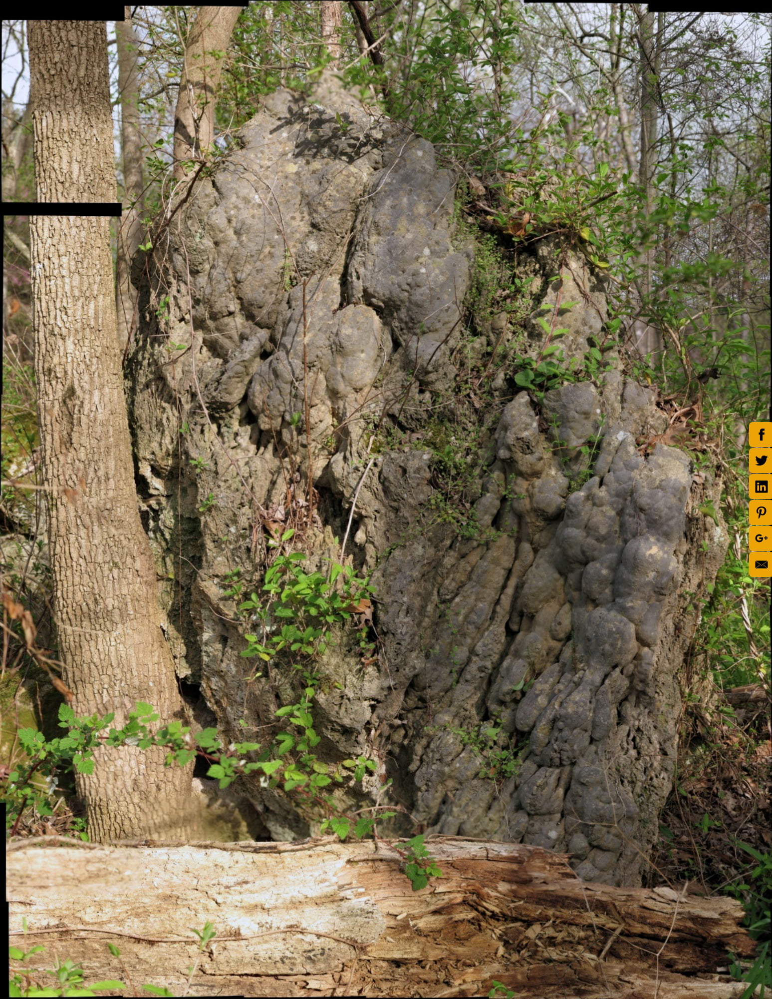 Travertine-Tumbling Run