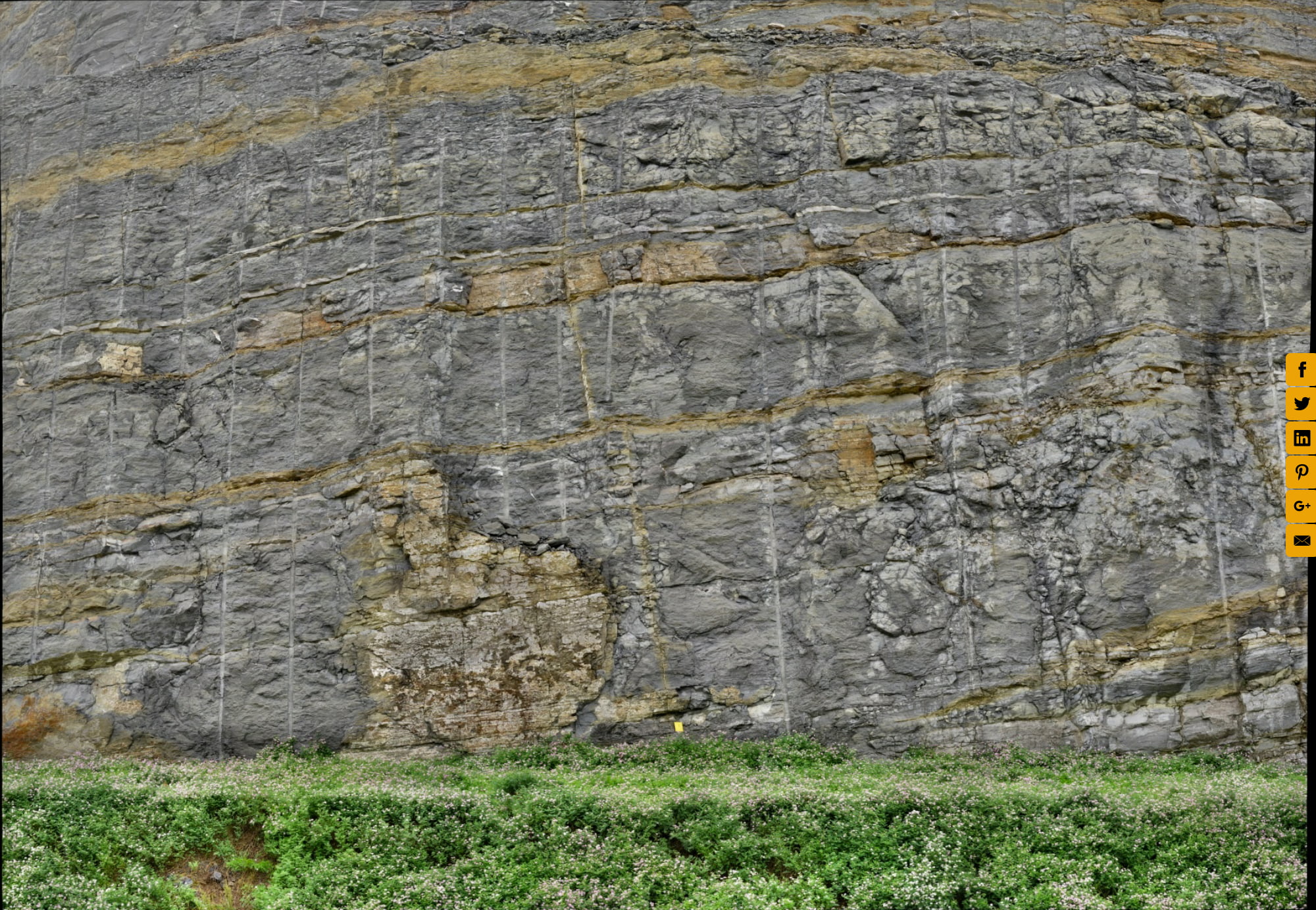 Helderberg limestone, Corridor H, West Virginia