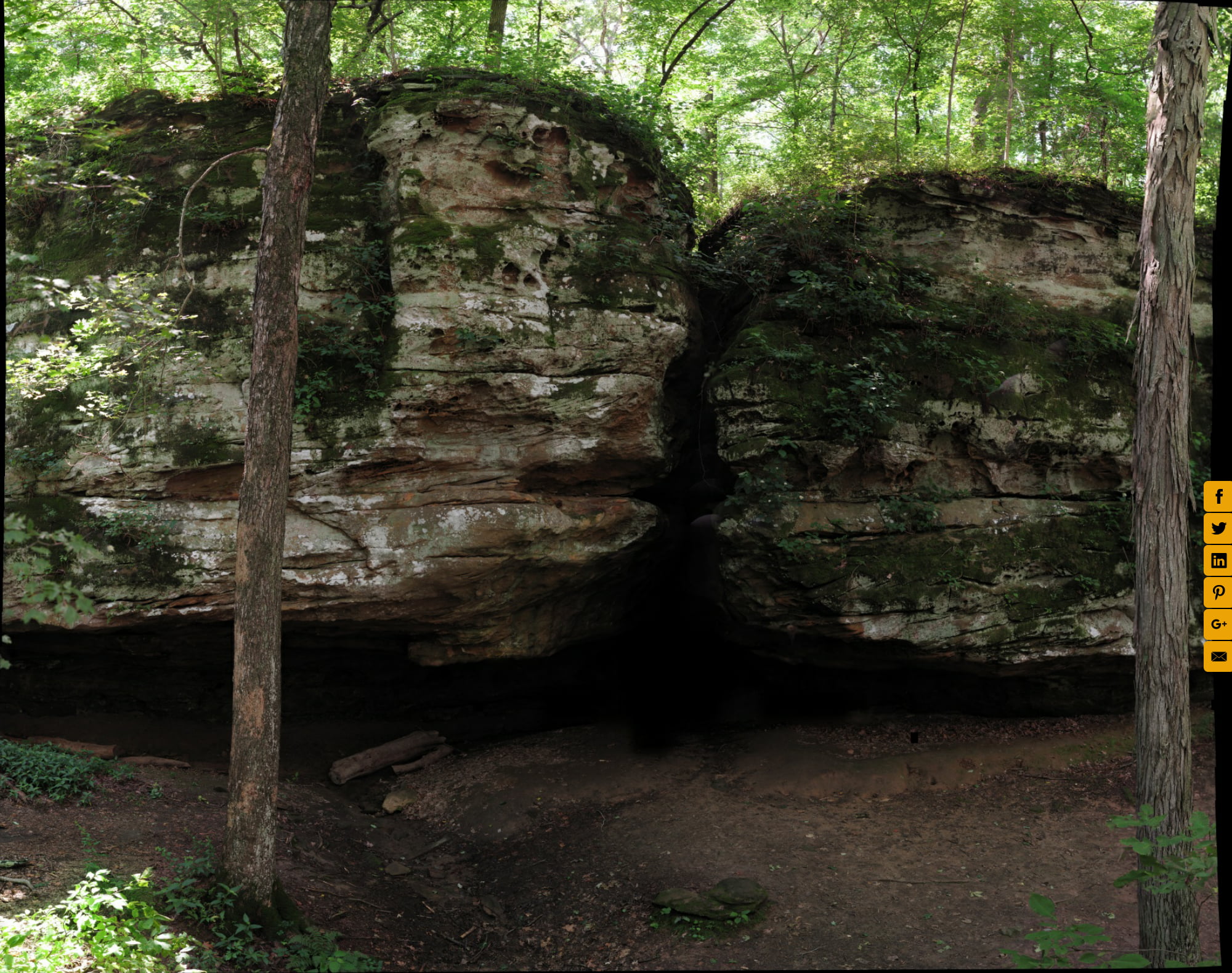 Wall of Makanda Sandstone, Giant City State Park, Illinois