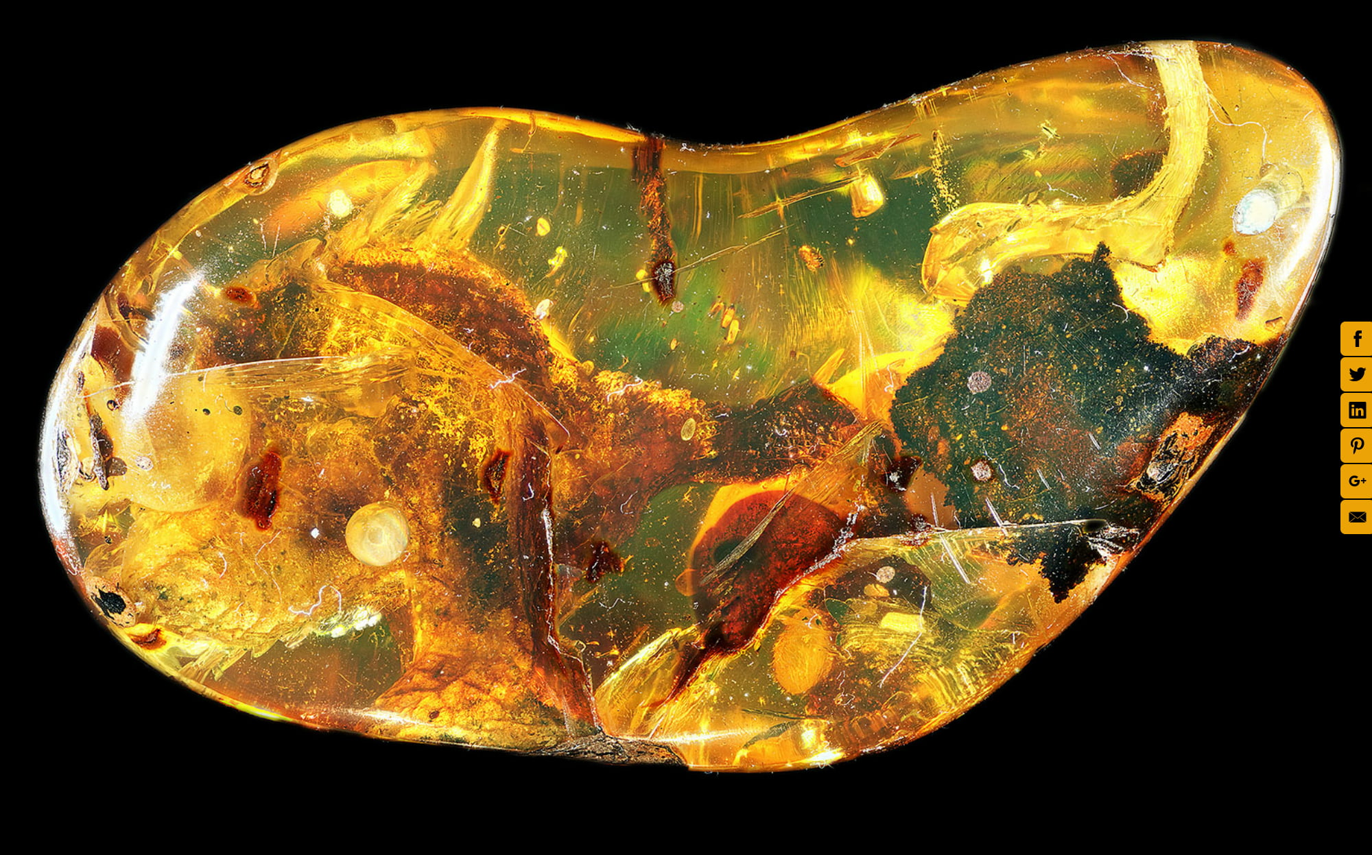 Amber 1 Side B