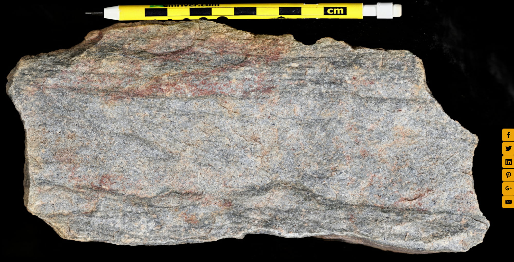 Microbially-induced sedimentary structures, sandstone, Barberton ...