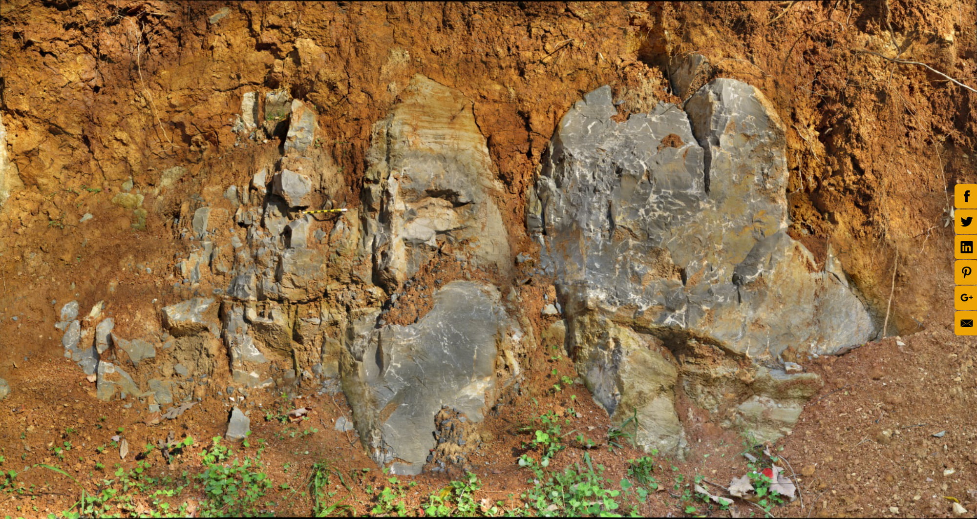 Beekmantown Group Limestone, Harrisonburg, Virginia