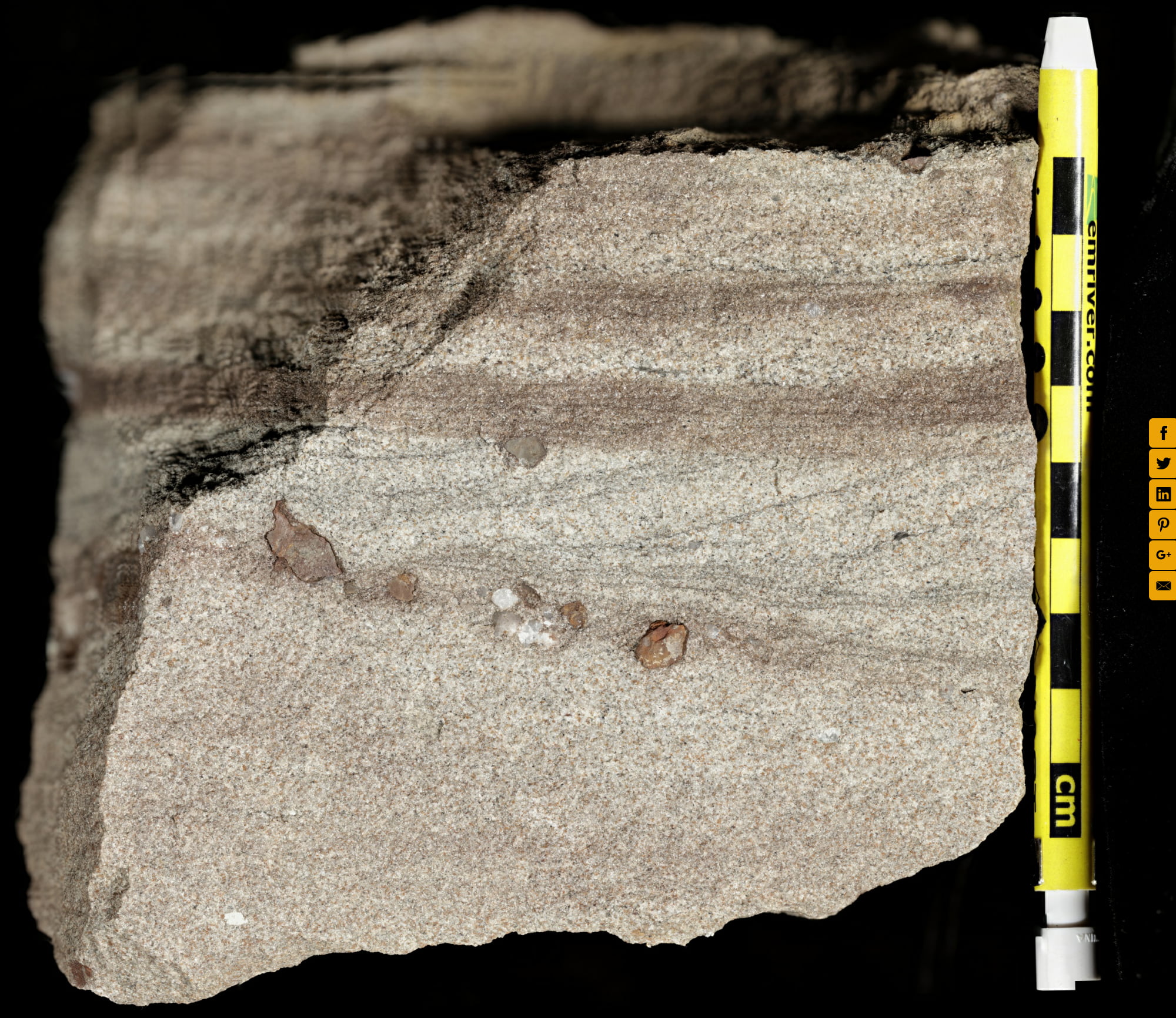 Conemaugh Formation sandstone