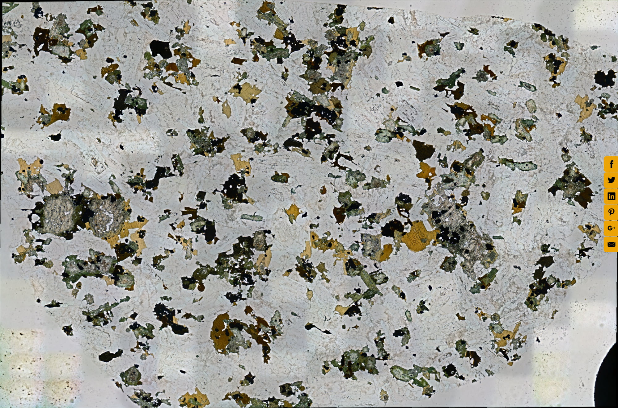 Albite in Diorite, Plane Polars