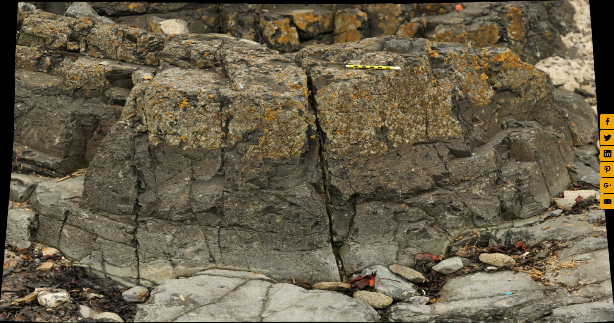 Portrush: hornfels (contact metamorphosed Lias shale) above Portrush ...