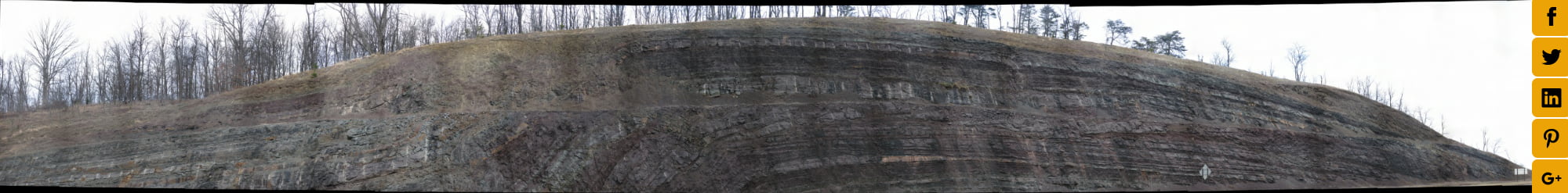 Monocline in Hampshire Formation