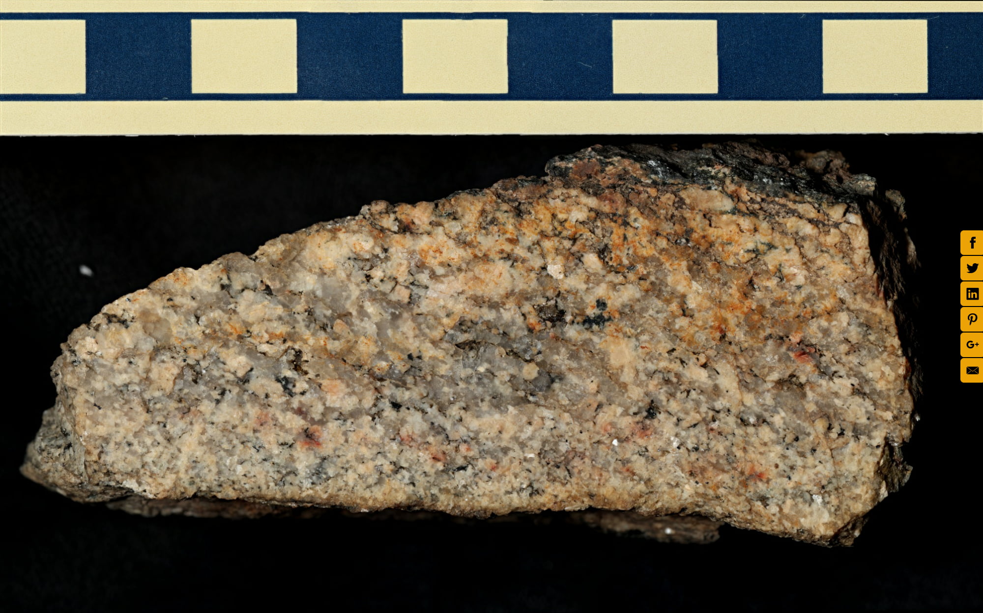 Granitoid dike from Clear Creek Canyon, Colorado