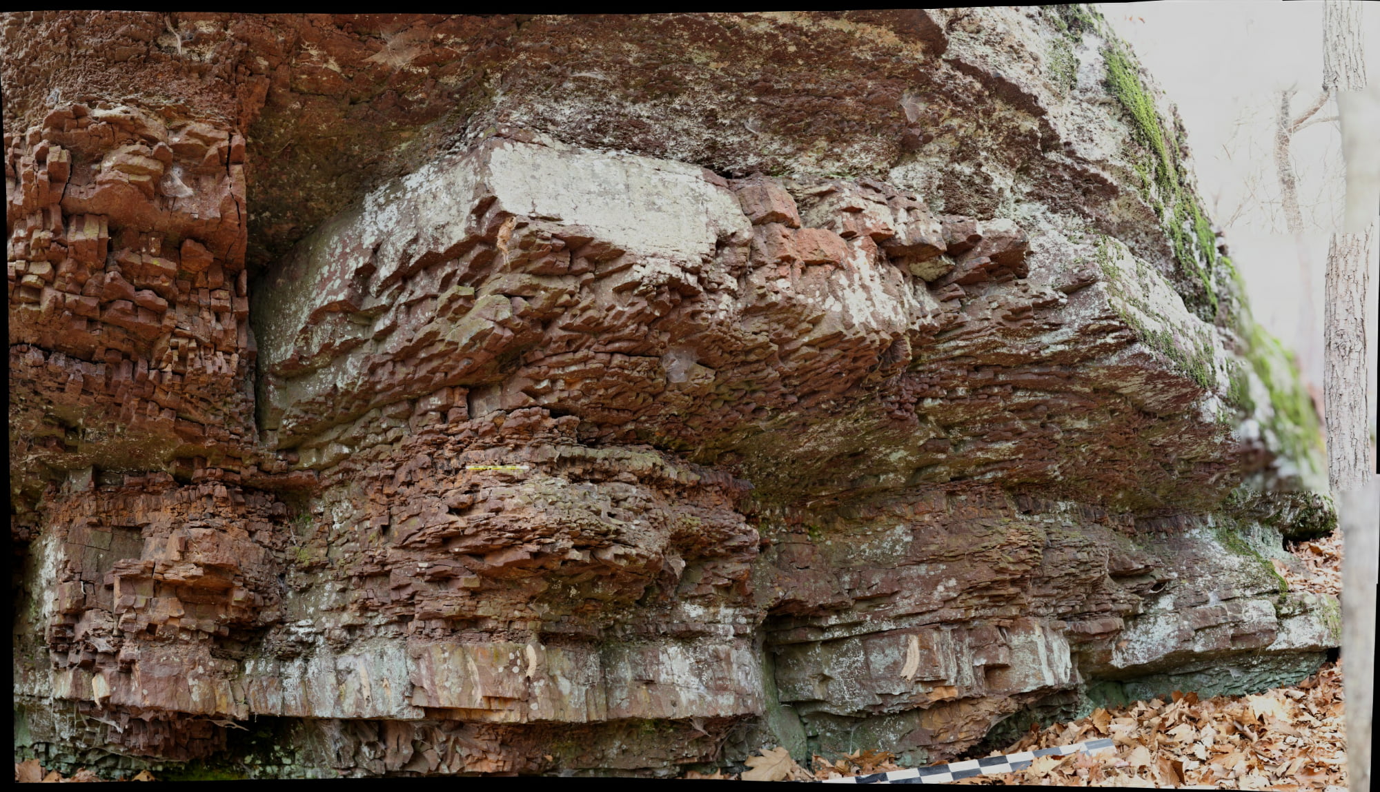 Bloomsburg outcrop