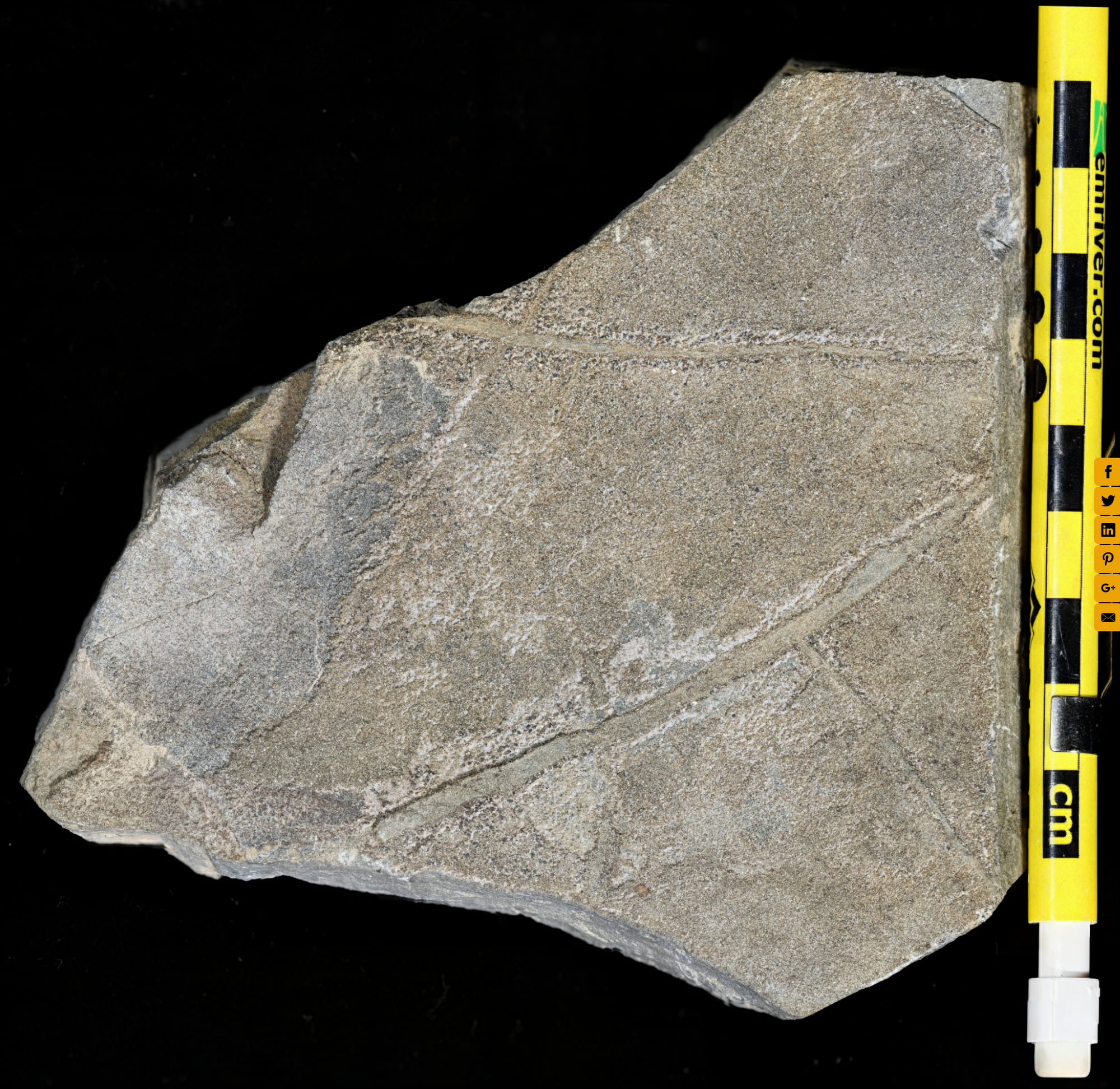 Mud cracks in Castner Marble argillite