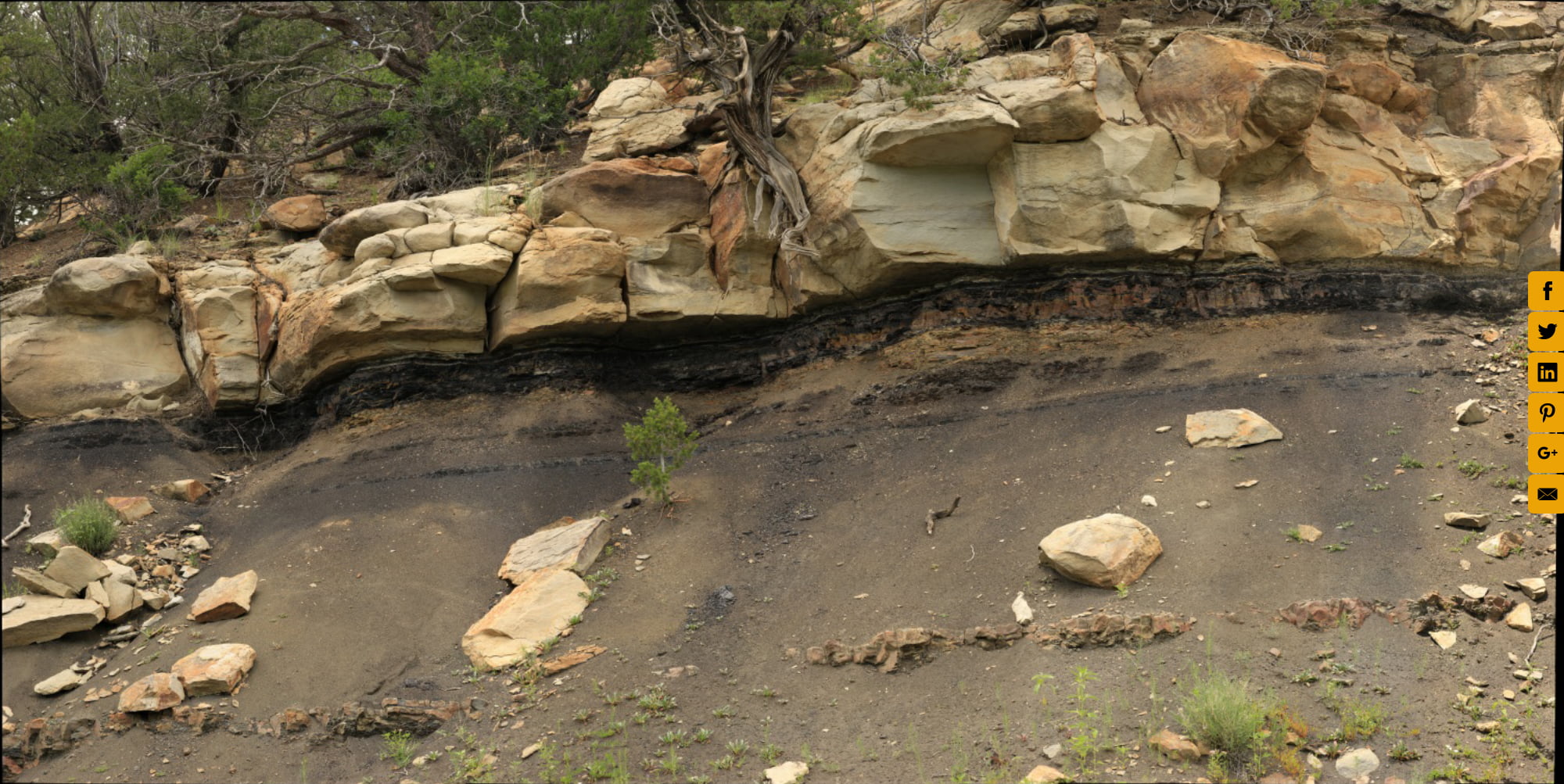 Long's Canyon K/T Boundary (Detail)