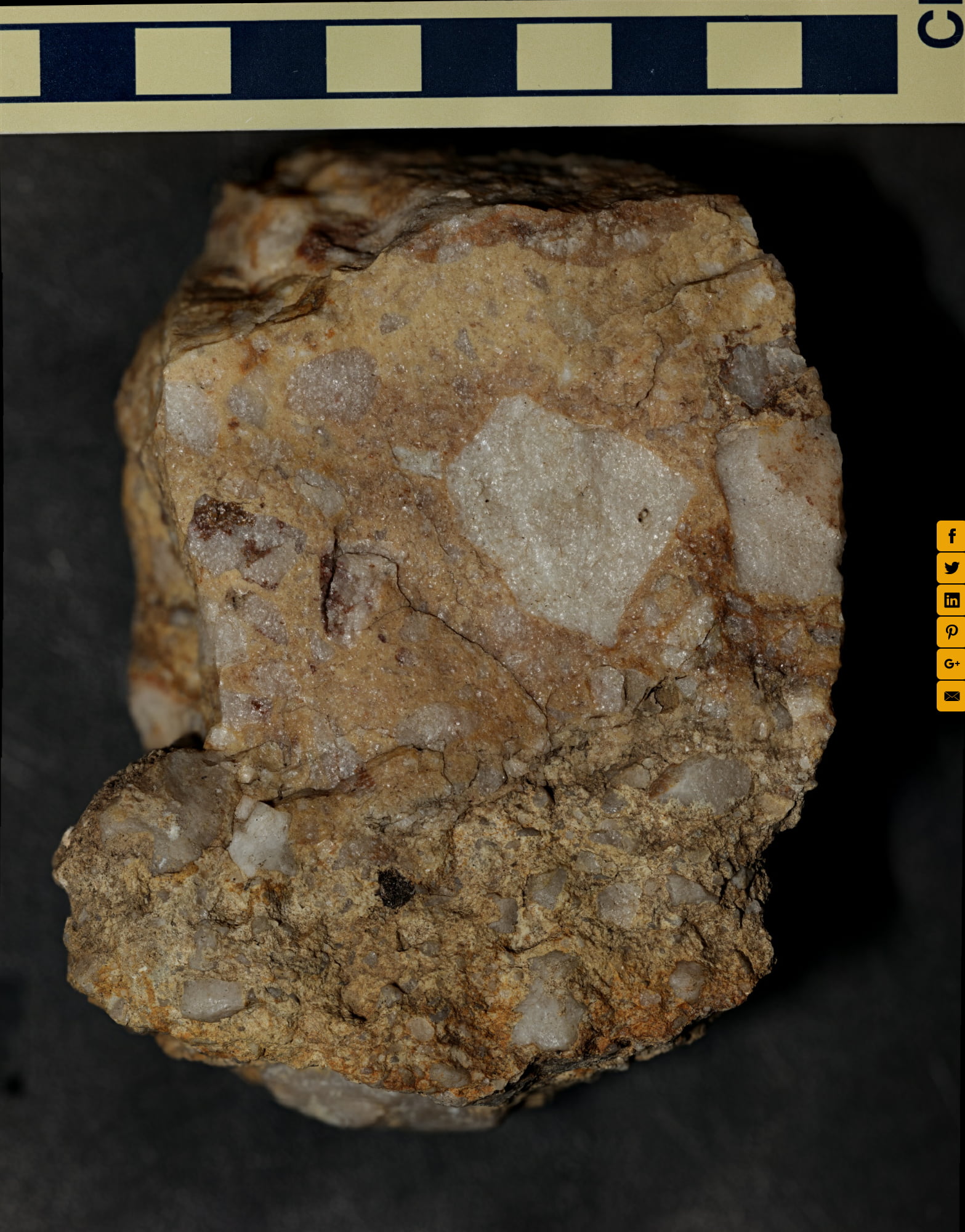 Quartz-cemented breccia, Antietam Formation quartzite, western Blue ...