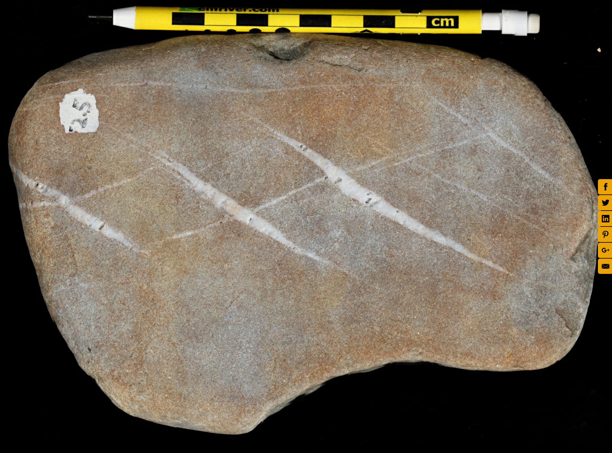 En echelon tension gashes in quartz arenite