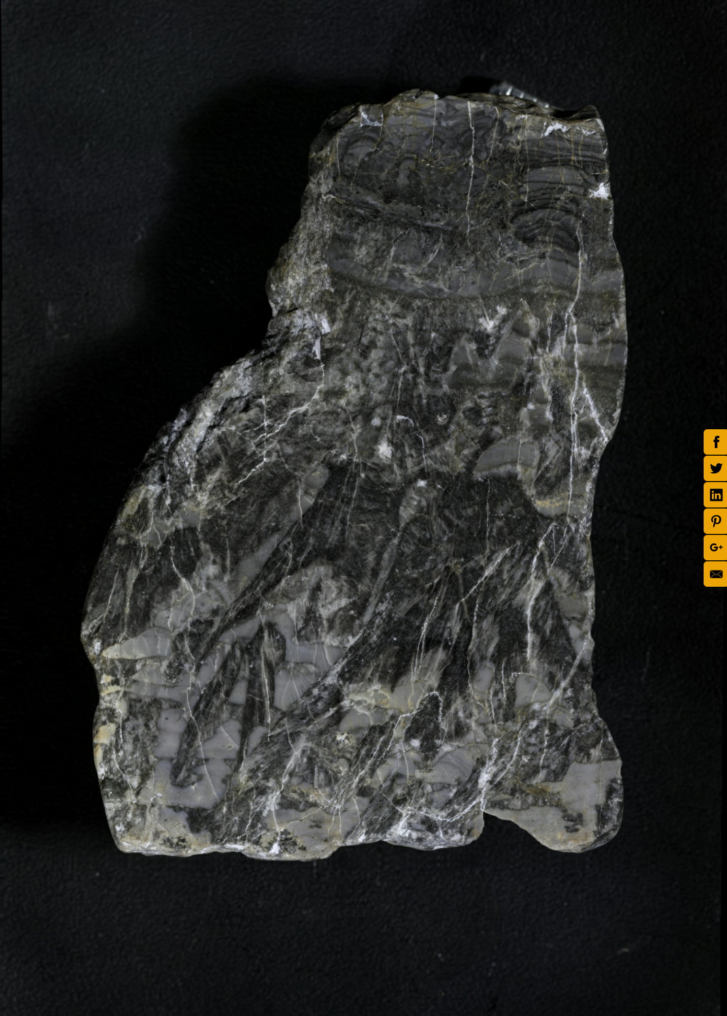 Snowball Earth Educational Rock Sample Suite PFH-2