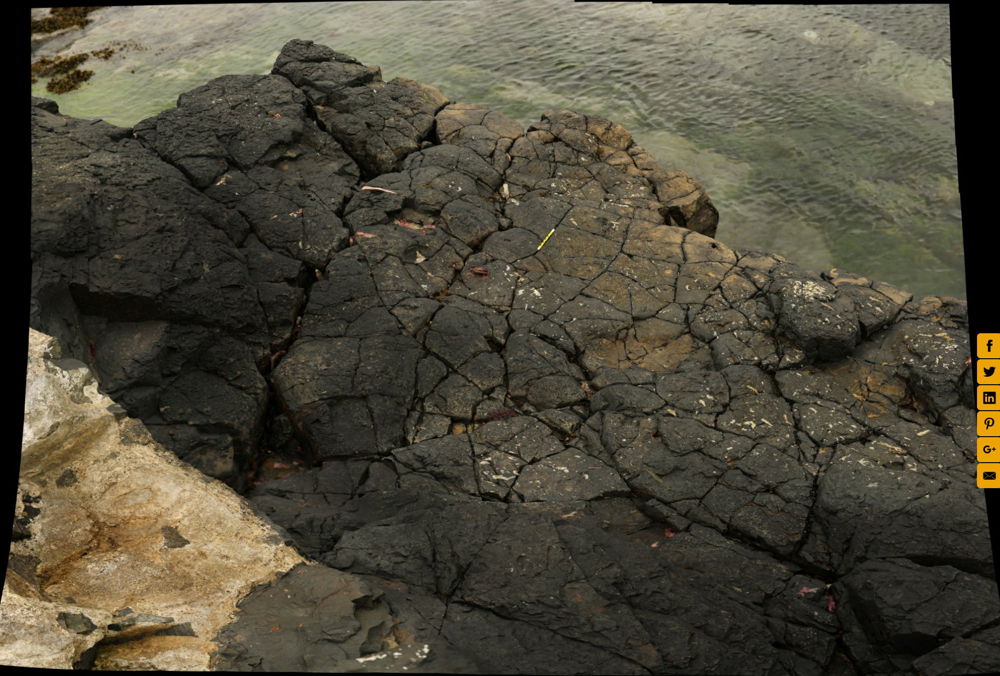 Portrush: hornfels (contact metamorphosed Lias shale) above Portrush ...