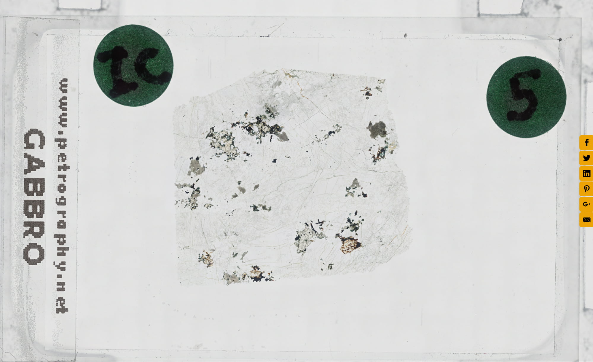 Olivine in Gabbro, Plane Polars