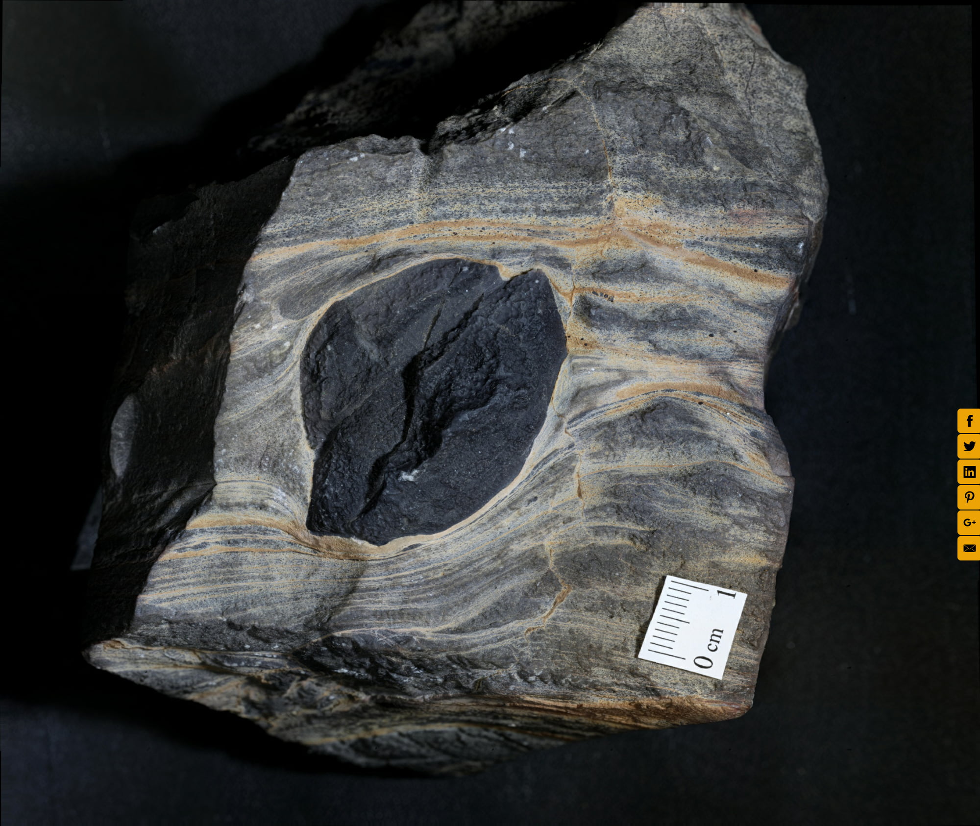 Snowball Earth Educational Rock Sample Suite TS-20