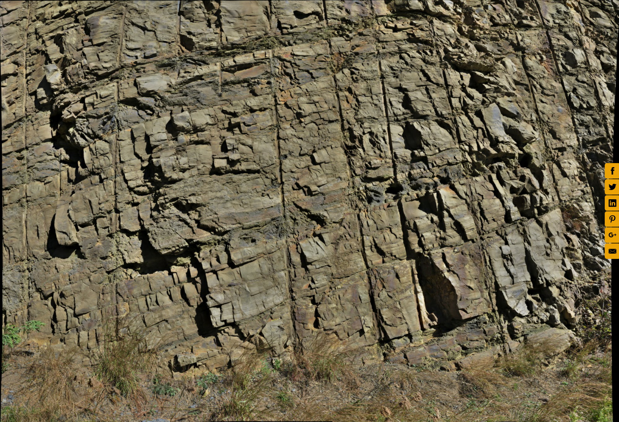 Purslane Formation Sandstone, Sideling Hill, Maryland