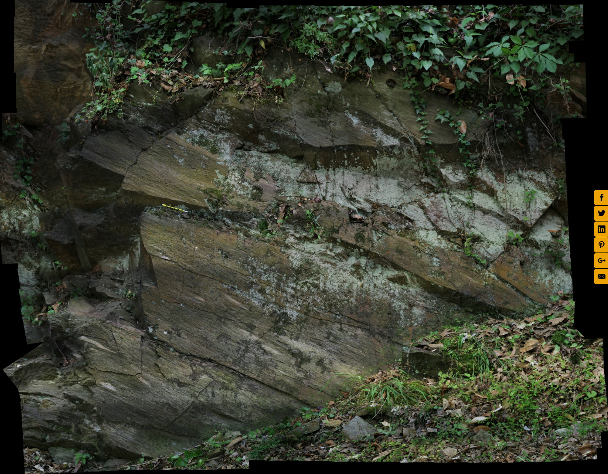 Stretched clasts in Laurel Formation metagraywacke, Rock Creek Shear ...