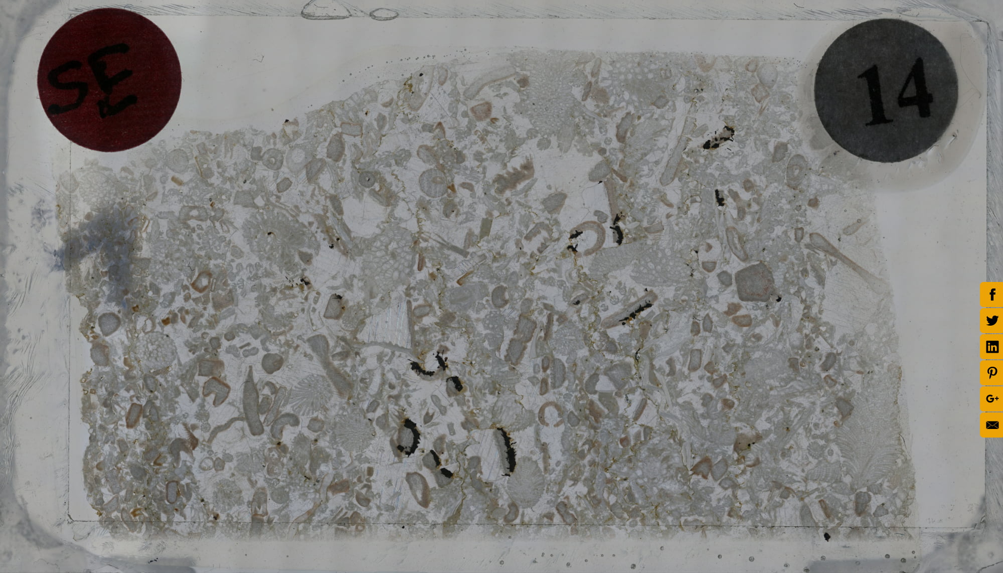 Encrinal Limestone, Plane Polars