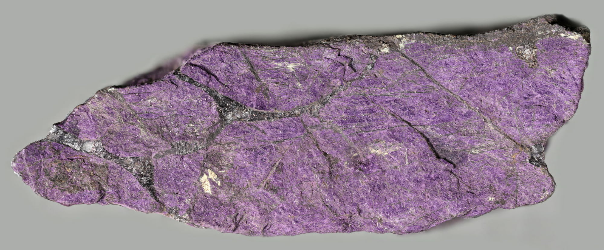 Purpurite